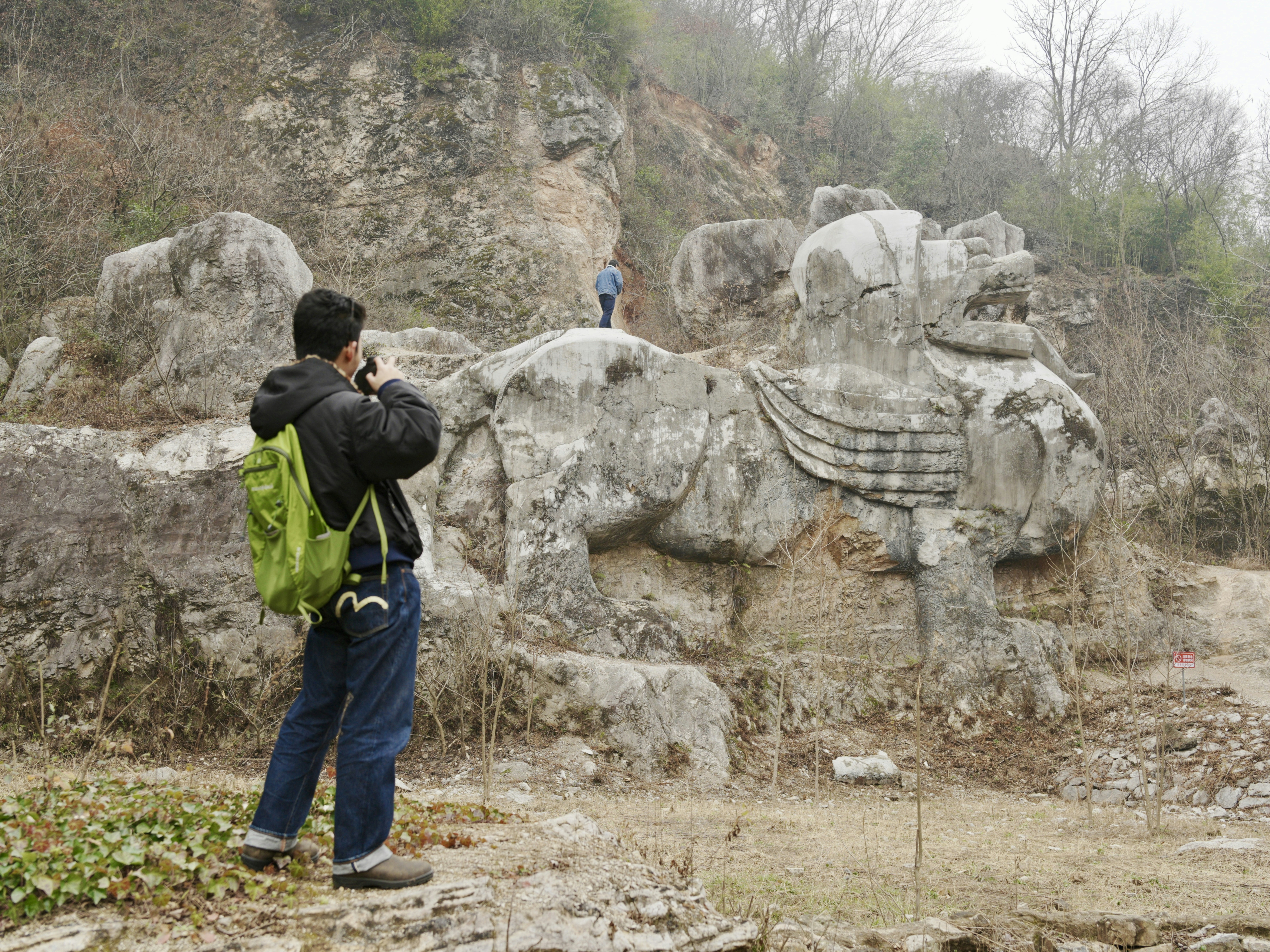 Photographer in a rocky park captures a carved elephant relief