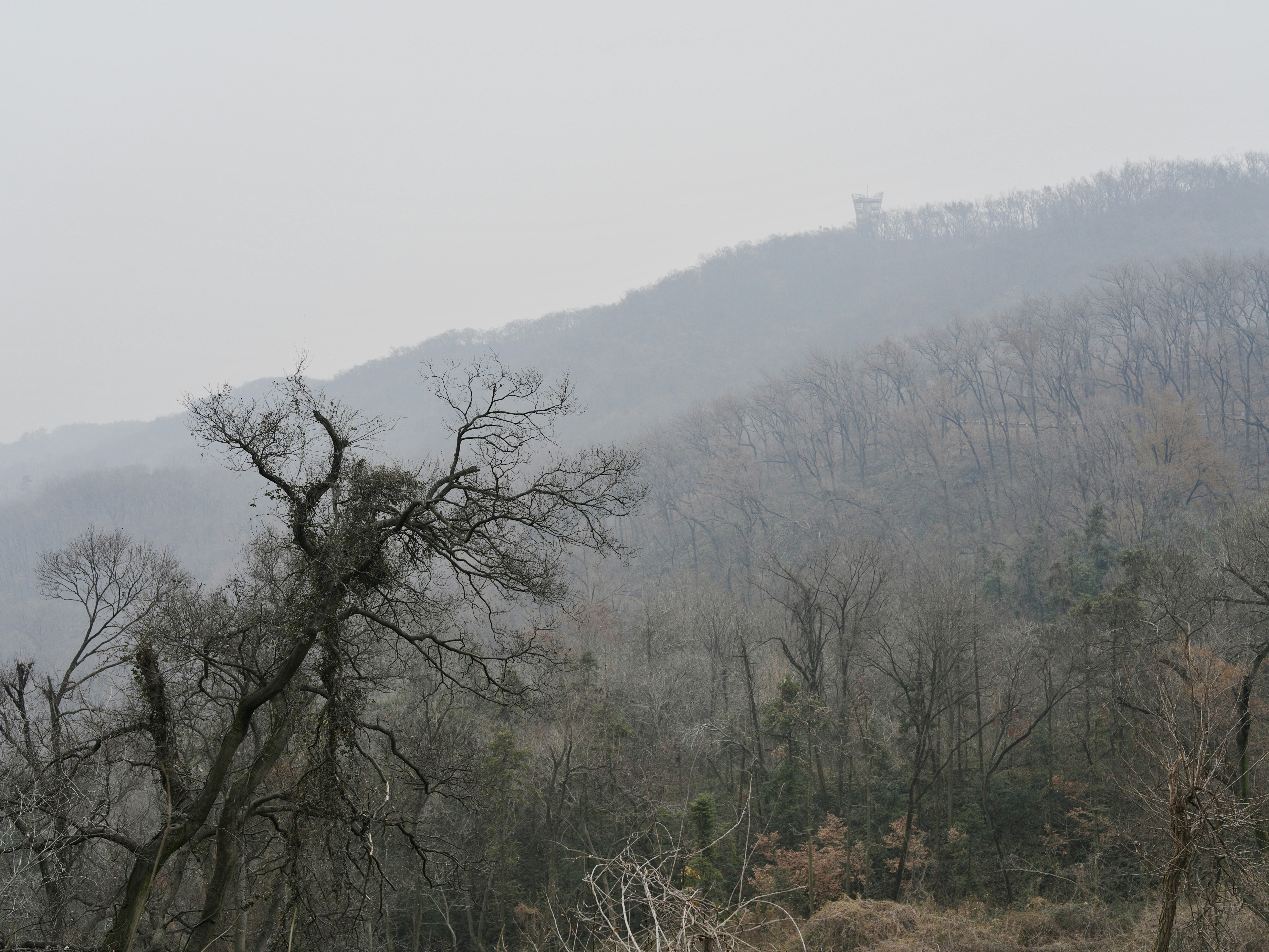 Misty Ridge: A Quiet Climb Above the Winter Bois