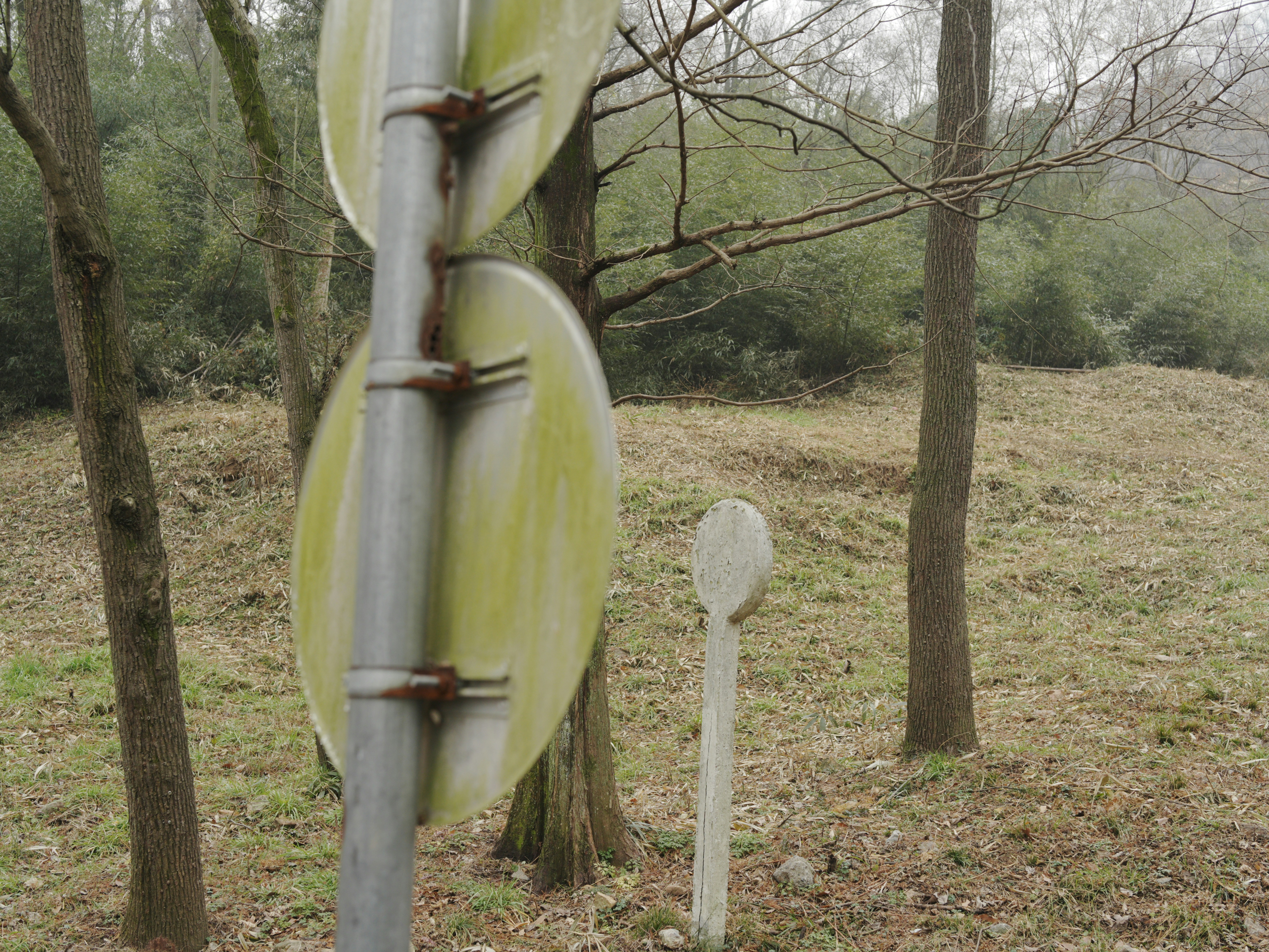 Overlooked Road Marker in a Quiet Forest Clearing