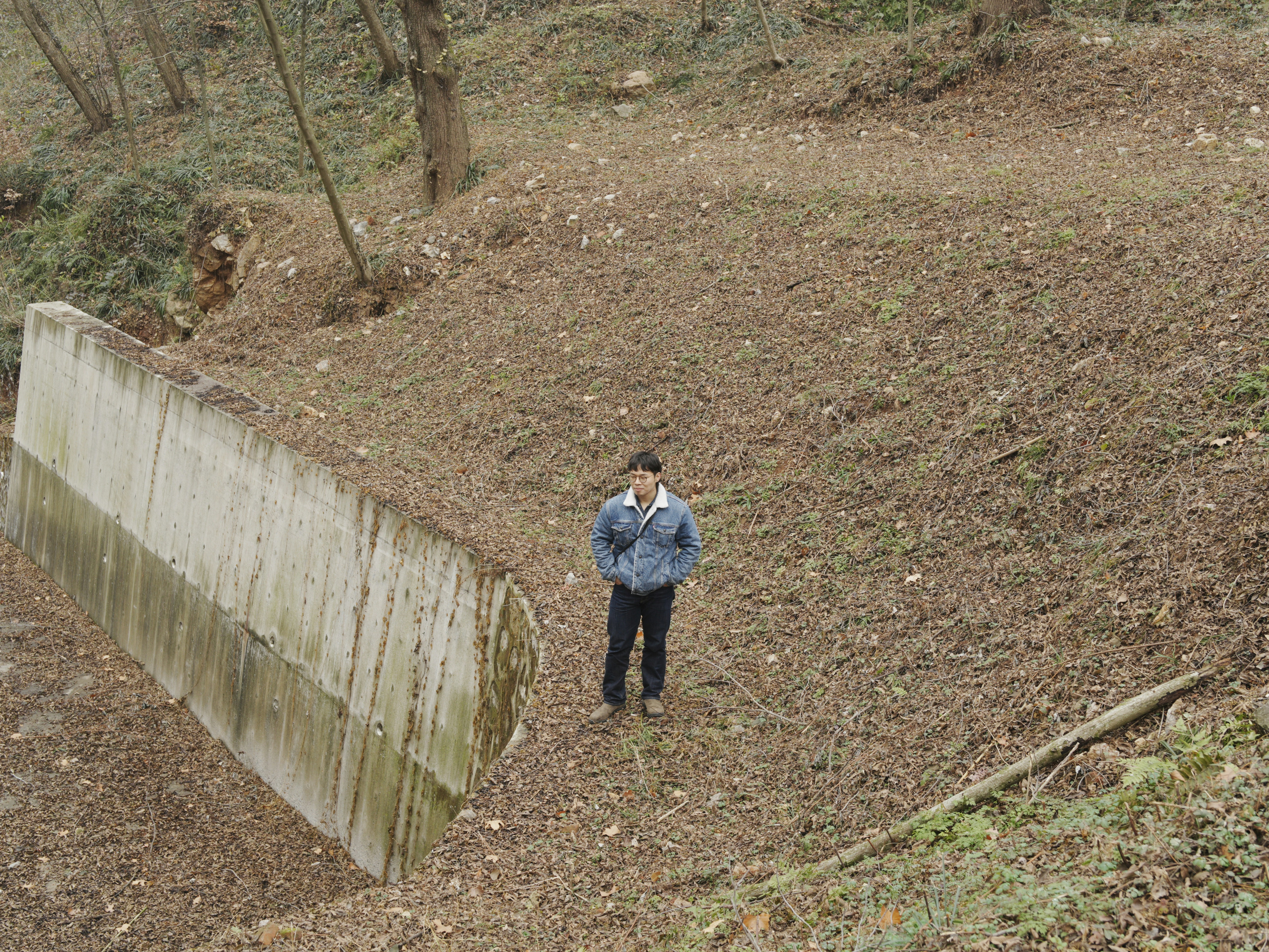 Lone Figure by the Slope: Quiet Contemplation in the Pines