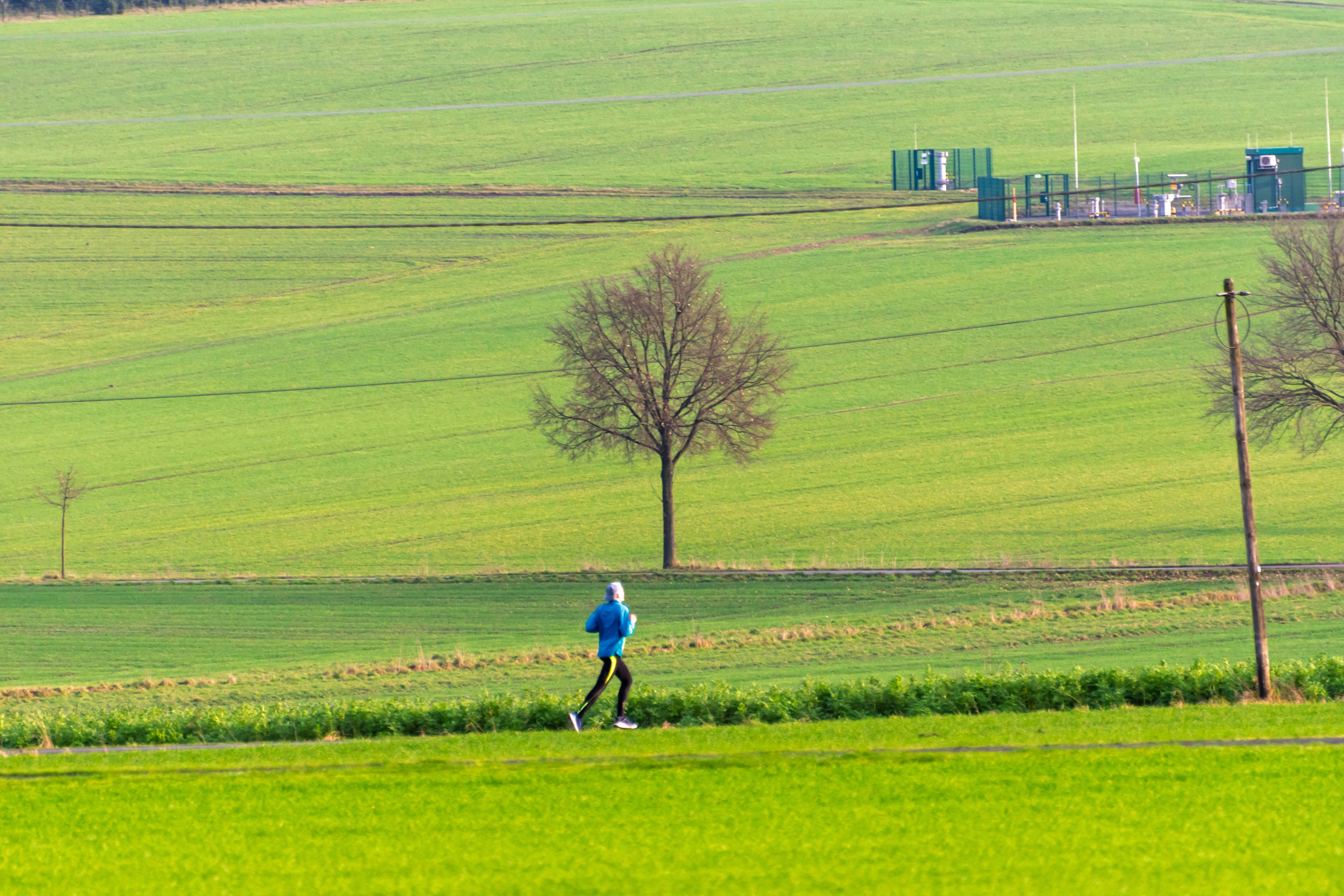 Runner in a Quiet Valley