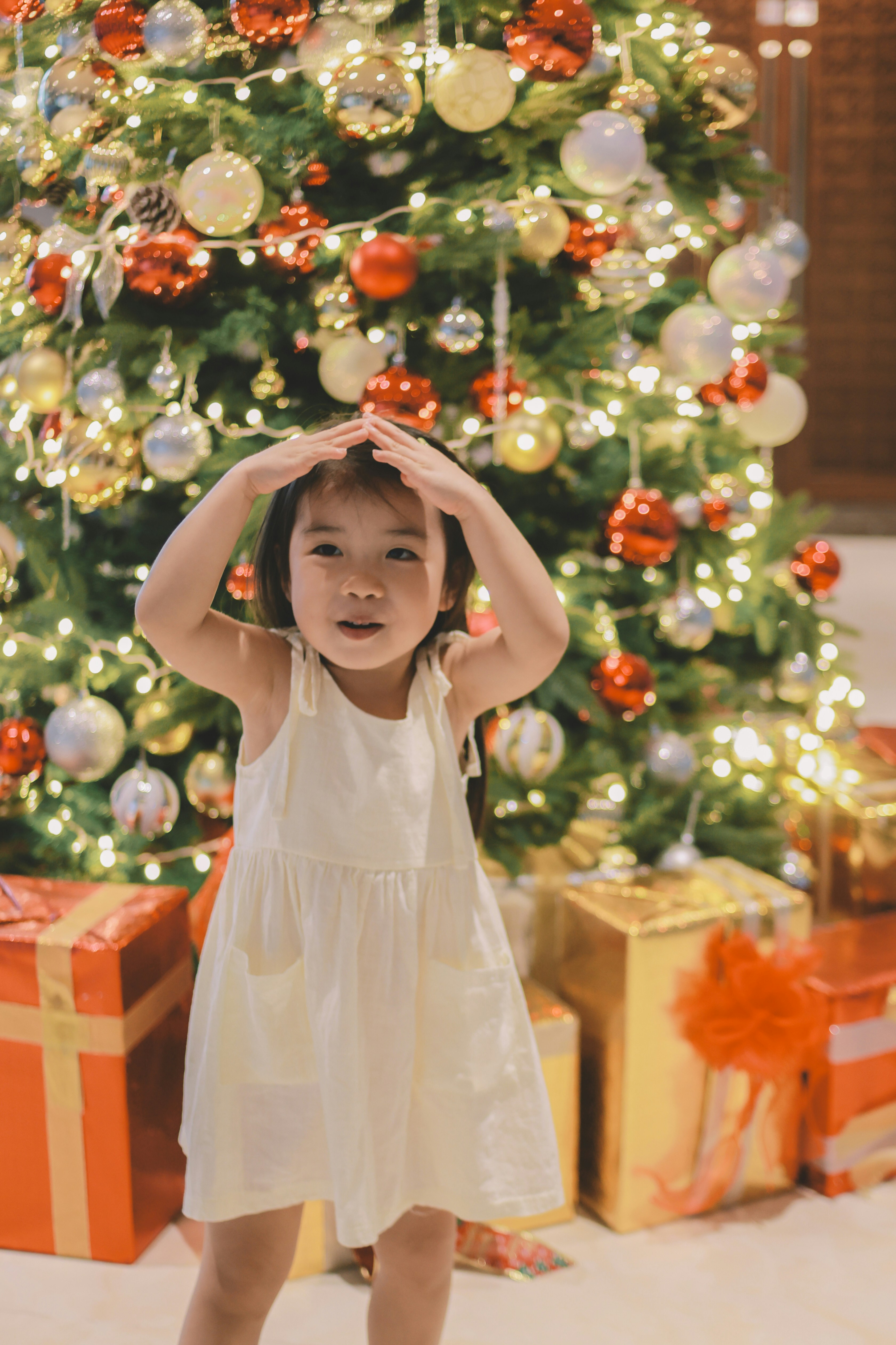 Little Cheerful Spotlight Under a Christmas Tree