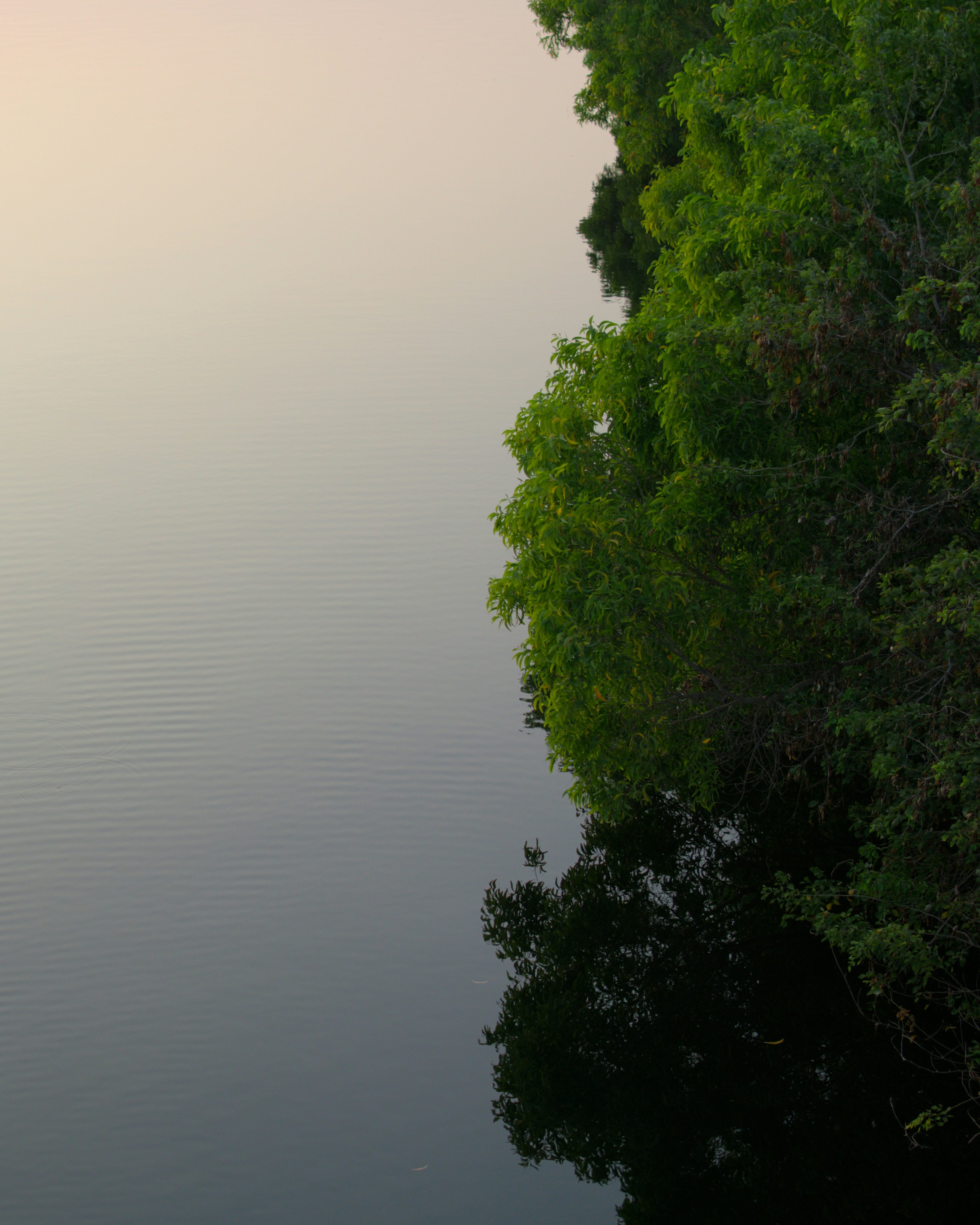 Edge of Silence: A Calm Riverside Veil
