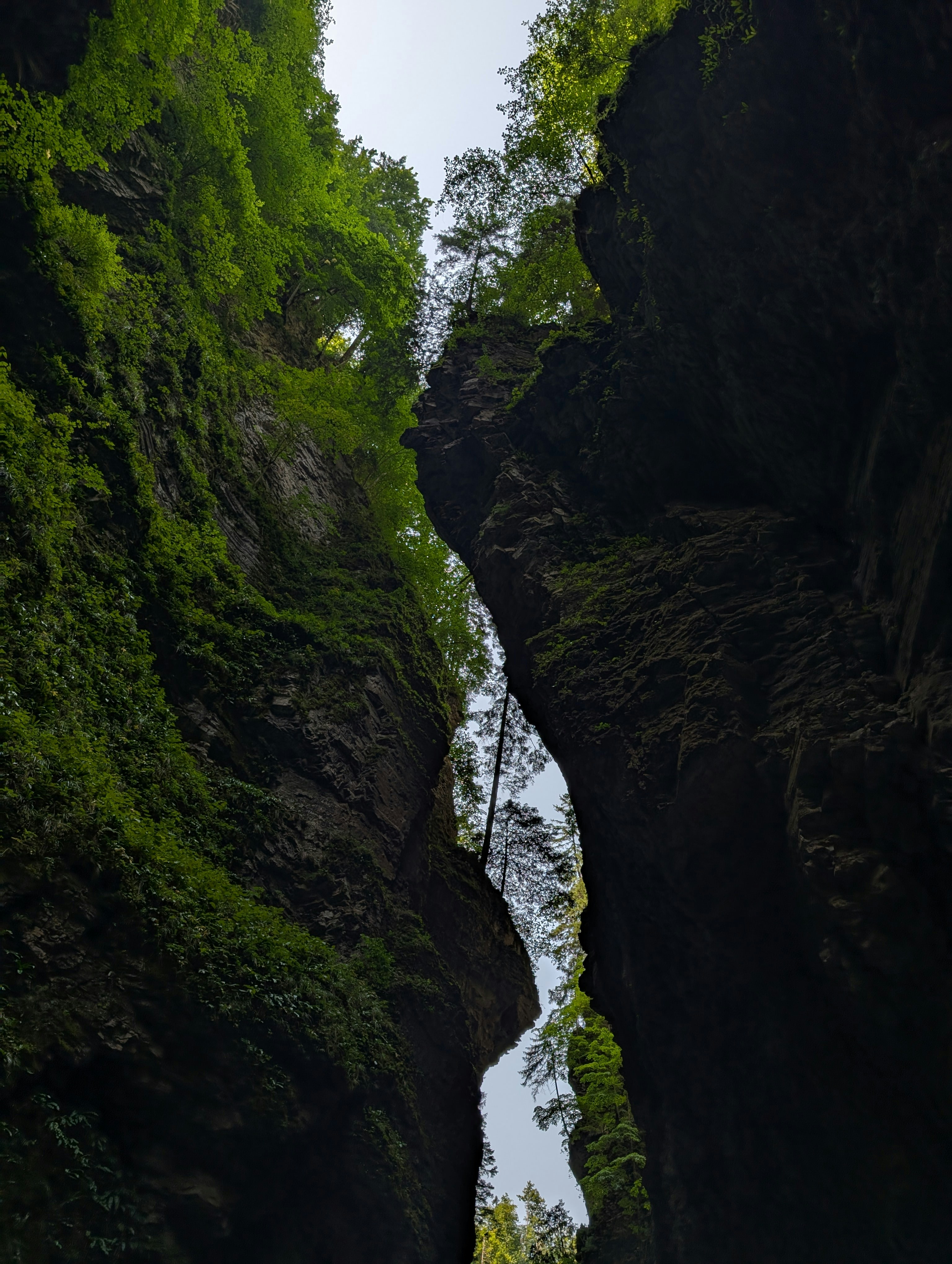 Lisa Seifert (@lisa_seife) | Unsplash Photo Community