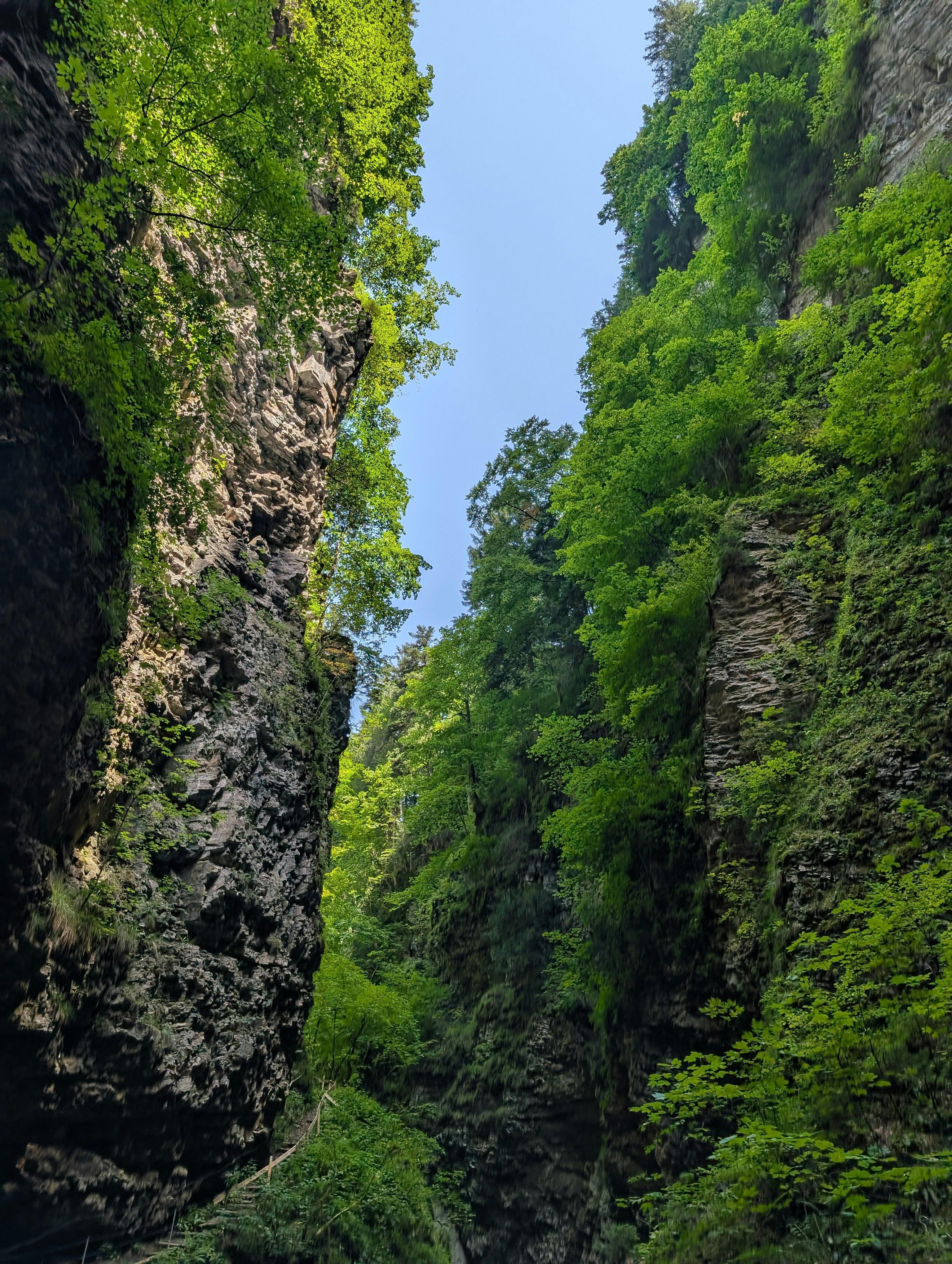 Lisa Seifert (@lisa_seife) | Unsplash Photo Community