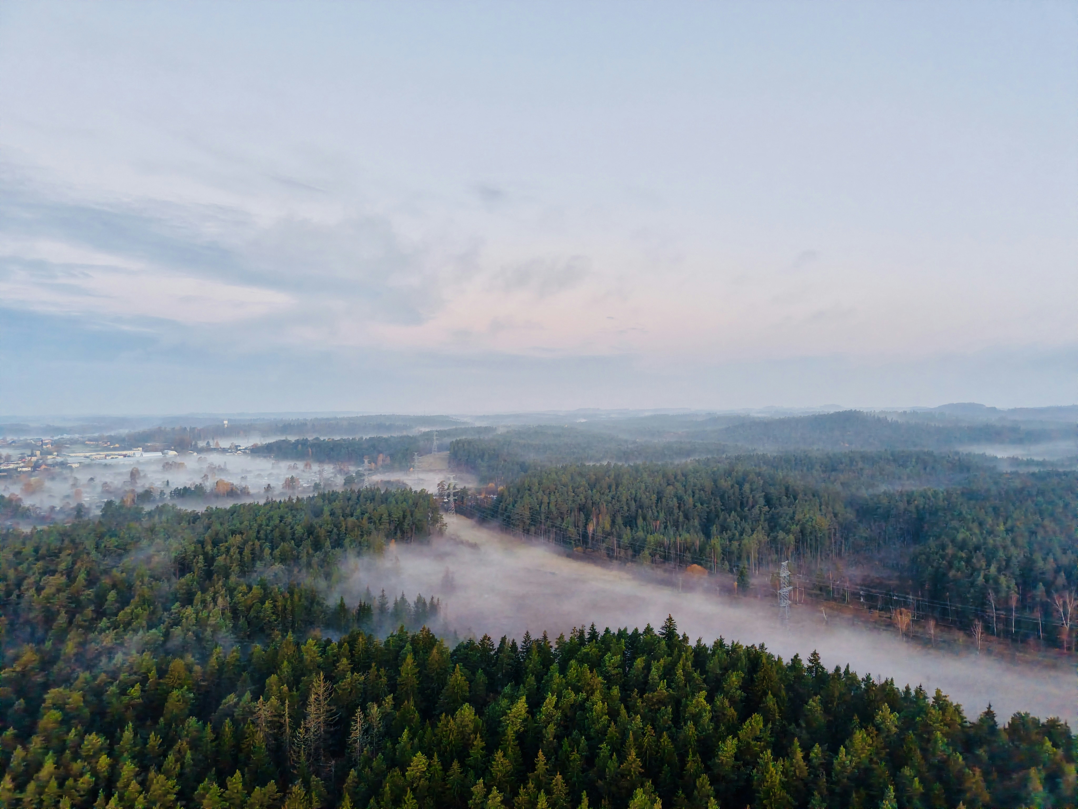 Misty forest landscape at sunrise with rolling hills.