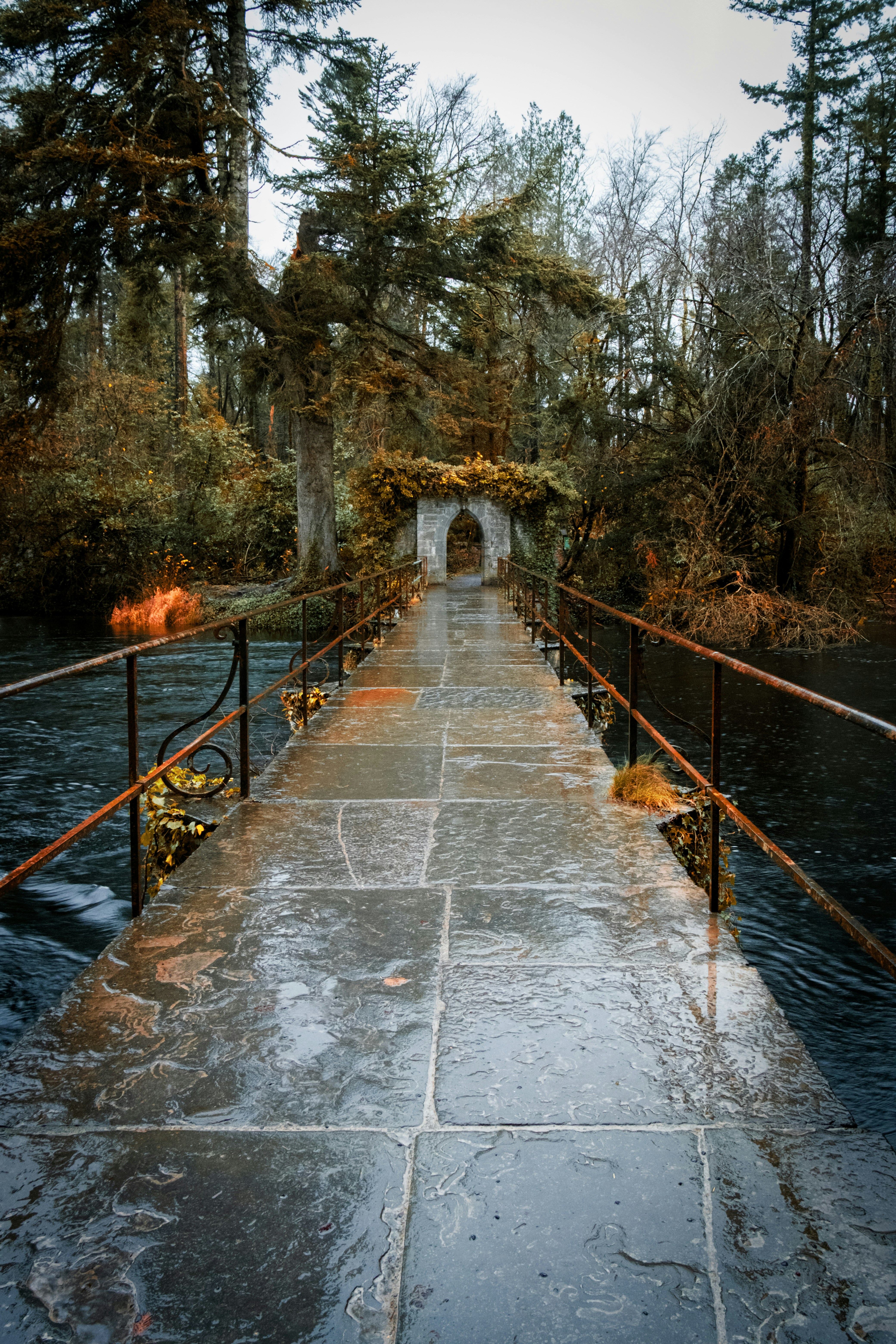 Iron-arched Bridge Over a Quiet Reflecting Pond
