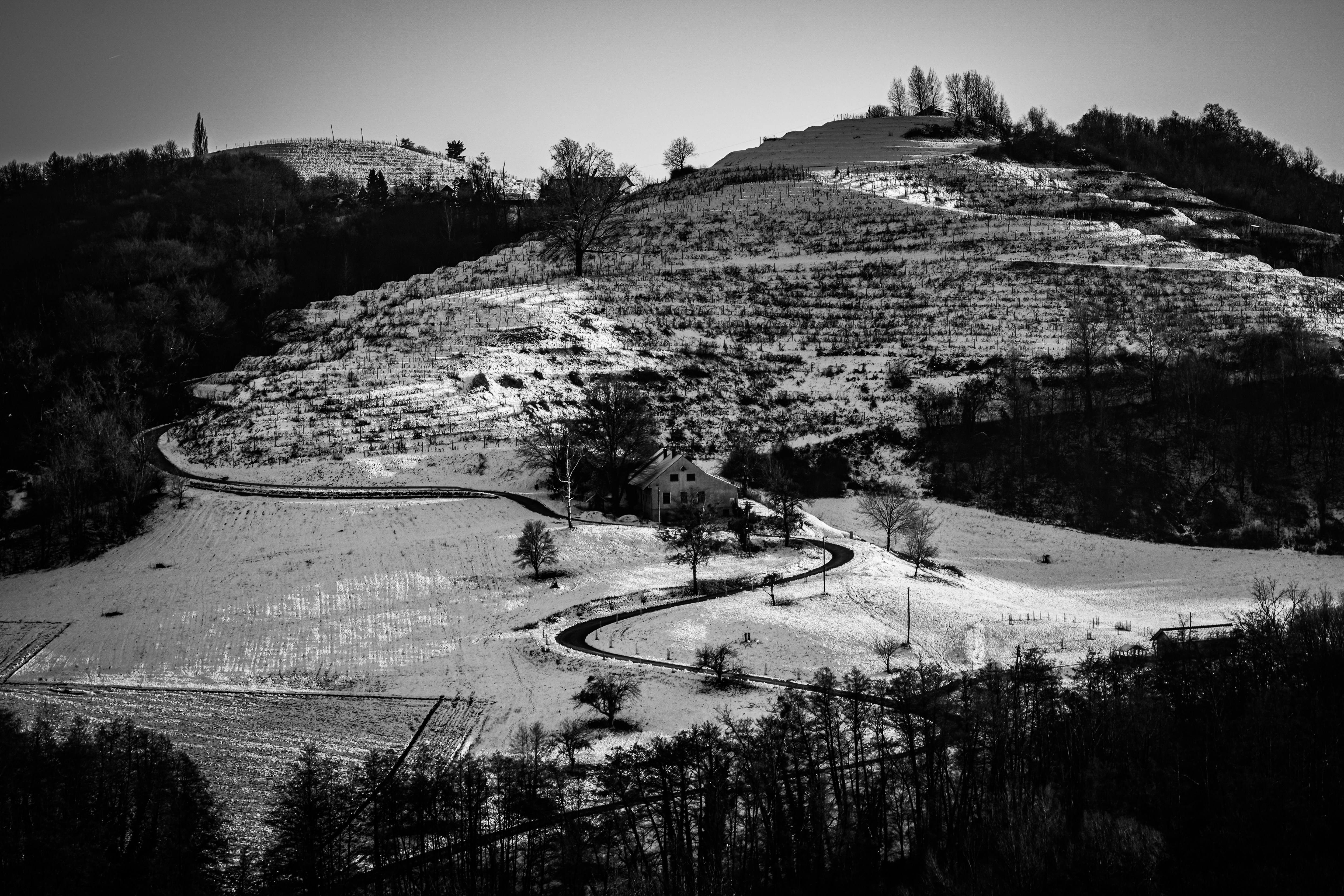 Photo by Nikola  Tomašić with Sony Alpha 7 IV