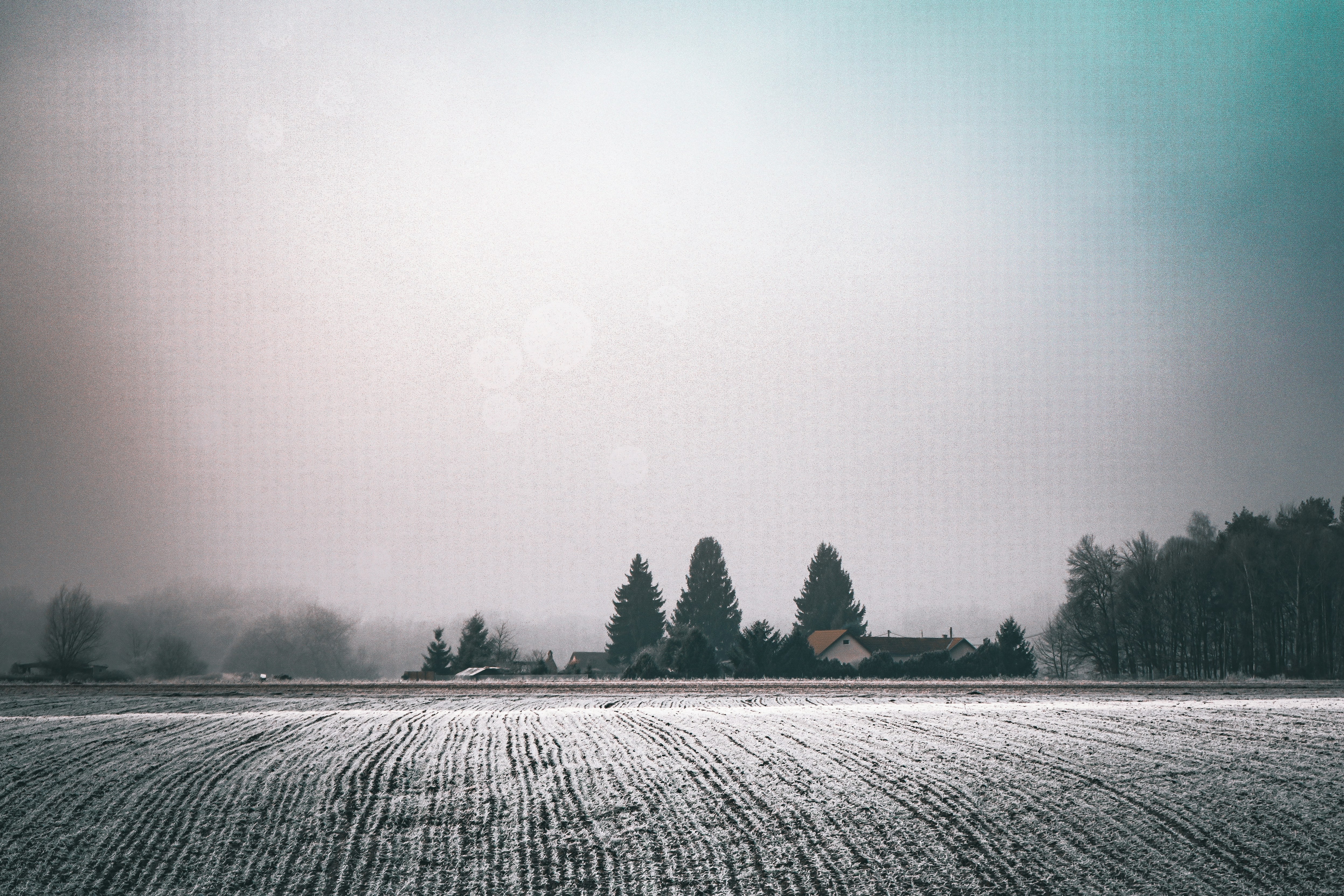 Snowbound Horizon: Quiet Farm Against a Misty Field