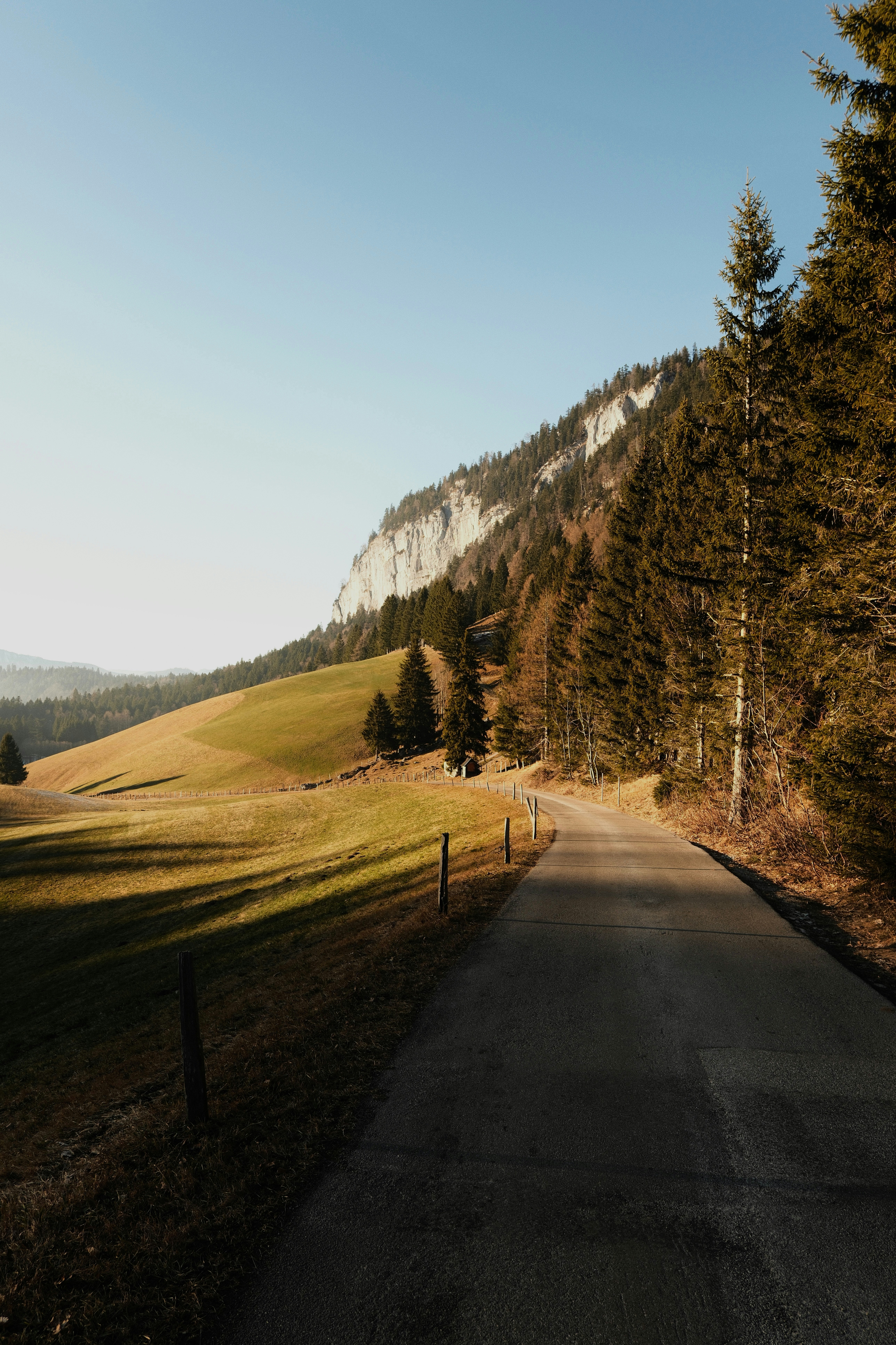 Sunny Crest Road: A Quiet Bend Between Forest and Field