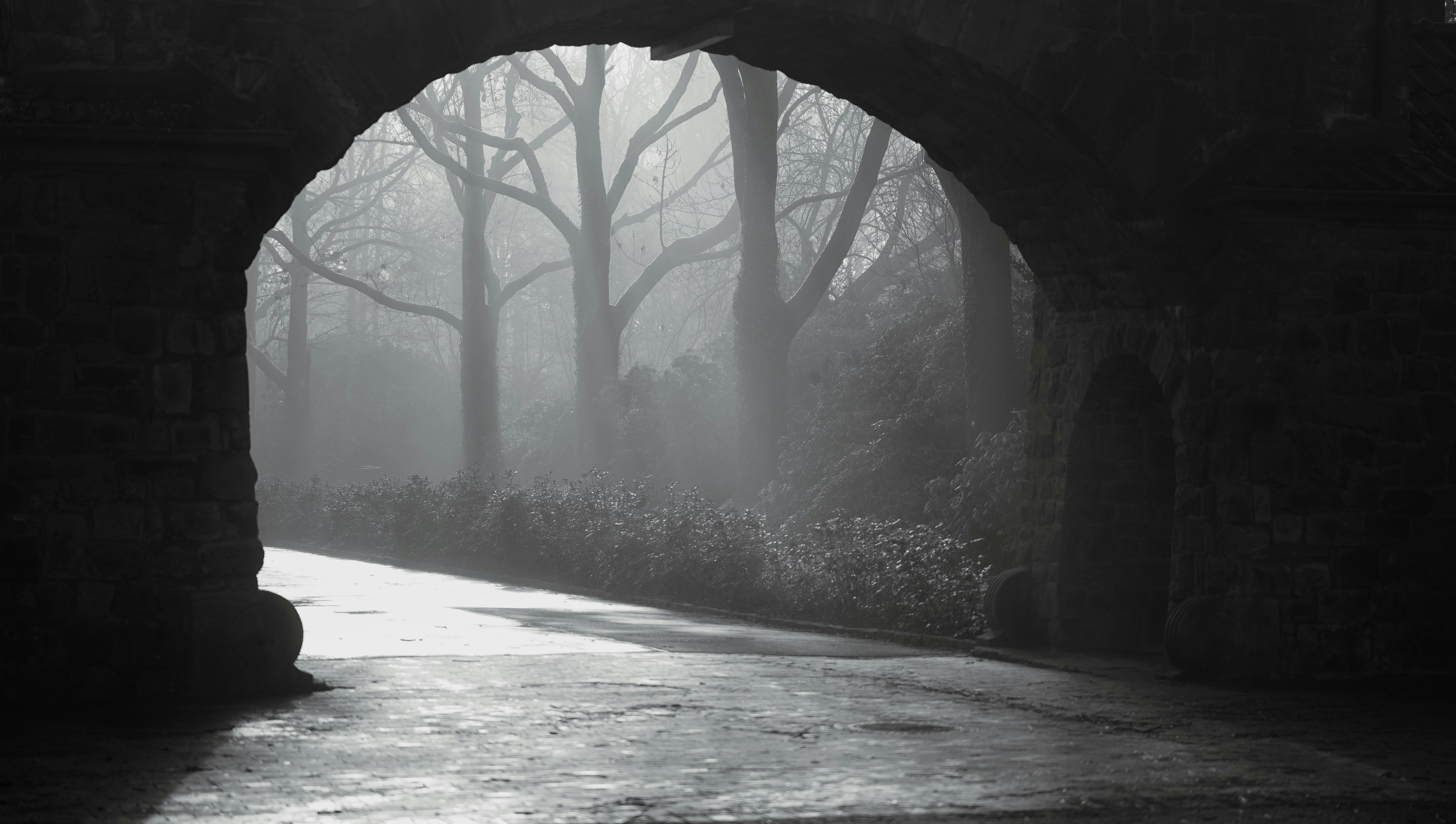Moonlit Canal Archway: Shadowed Path Beyond the Light