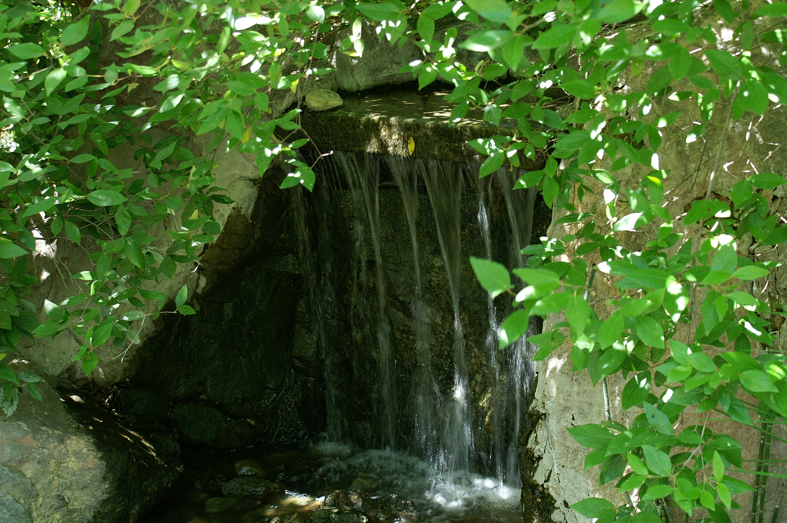 Small waterfall cascading through rocks and greenery