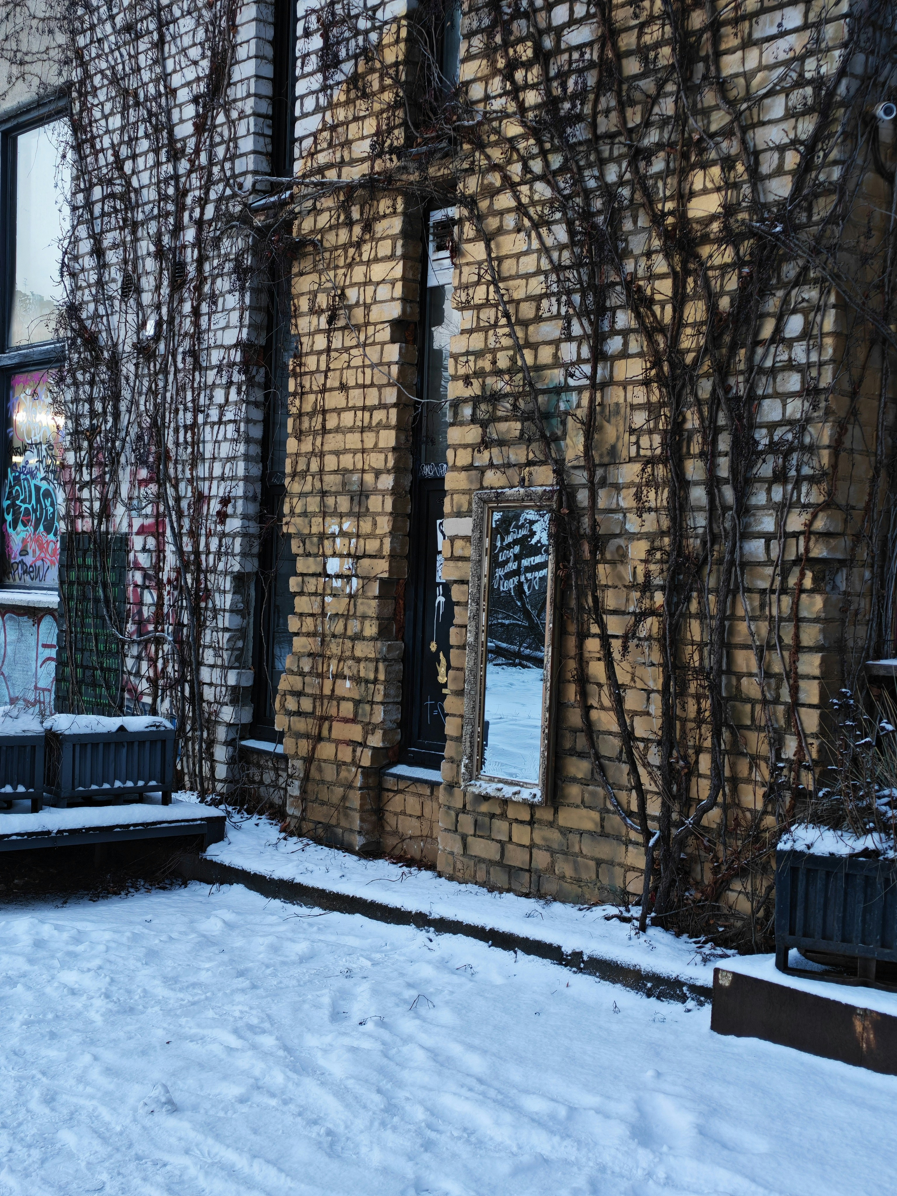 Photo by Dasha Melnik with Honor 400 Pro