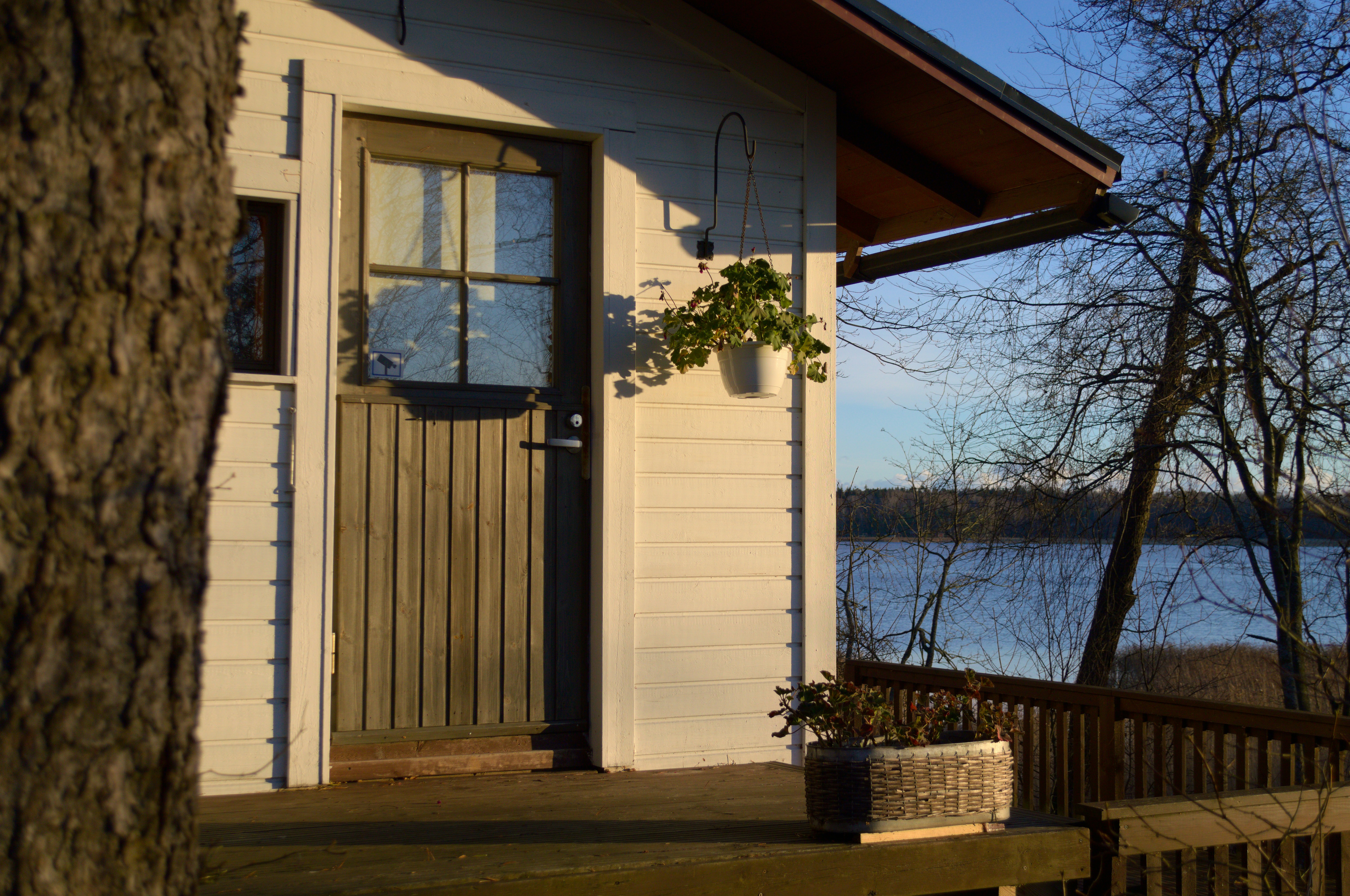 Cozy Lakeside Porch: Morning Light on a Quiet Cabin