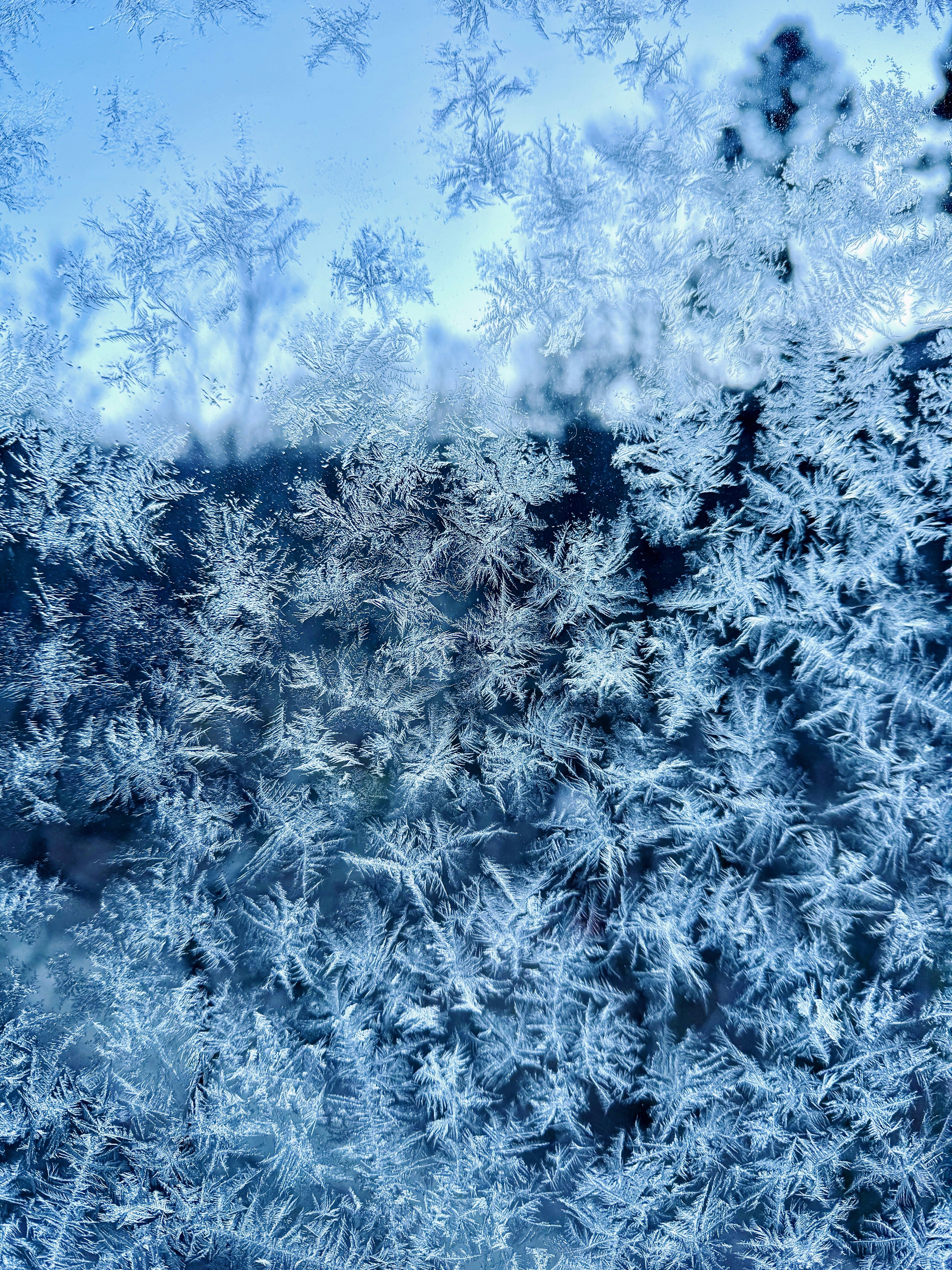 Intricate frost patterns on a window pane photo – Free Background Image ...