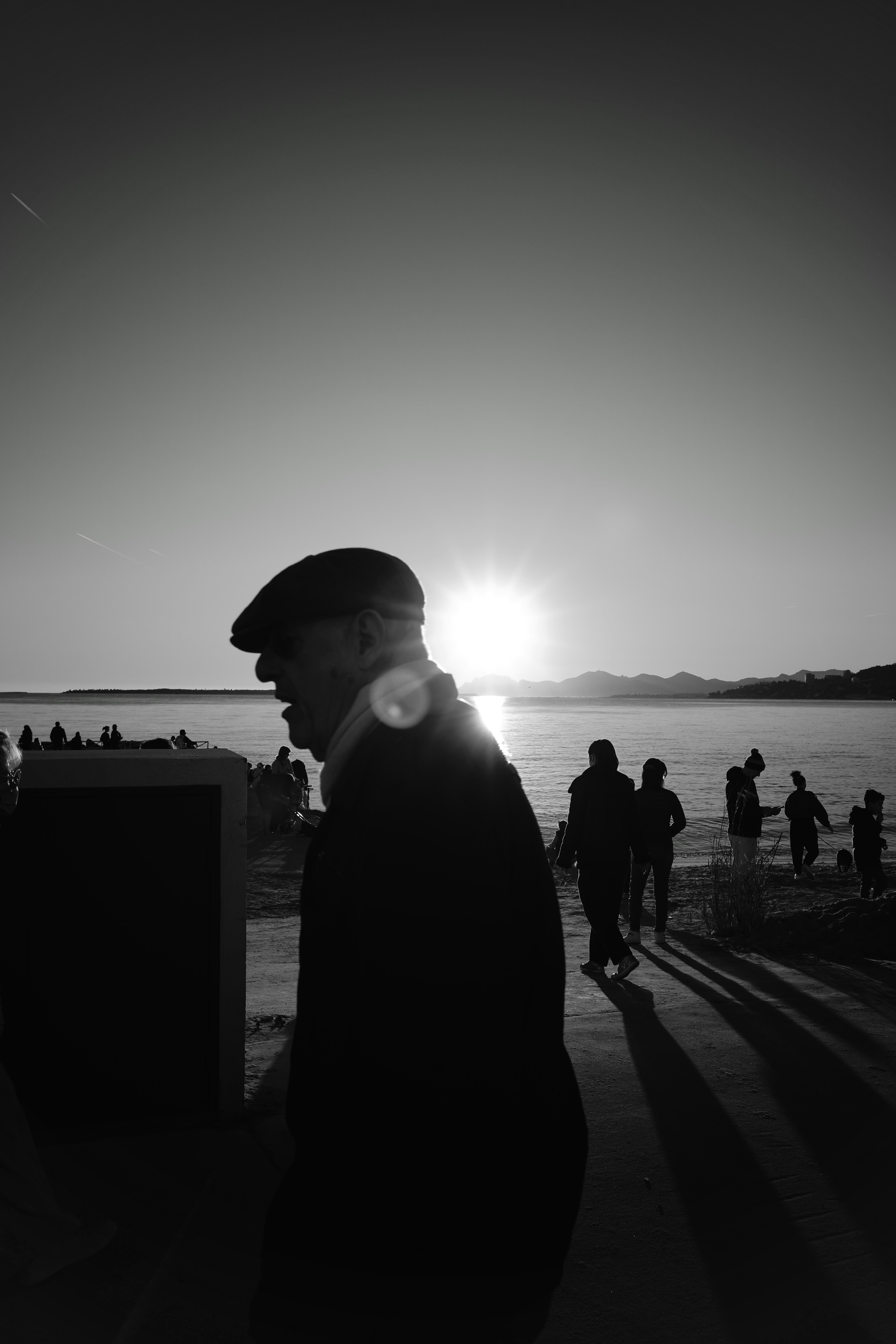 Shadows at the Shore: A Silhouette with the Sun at Dusk