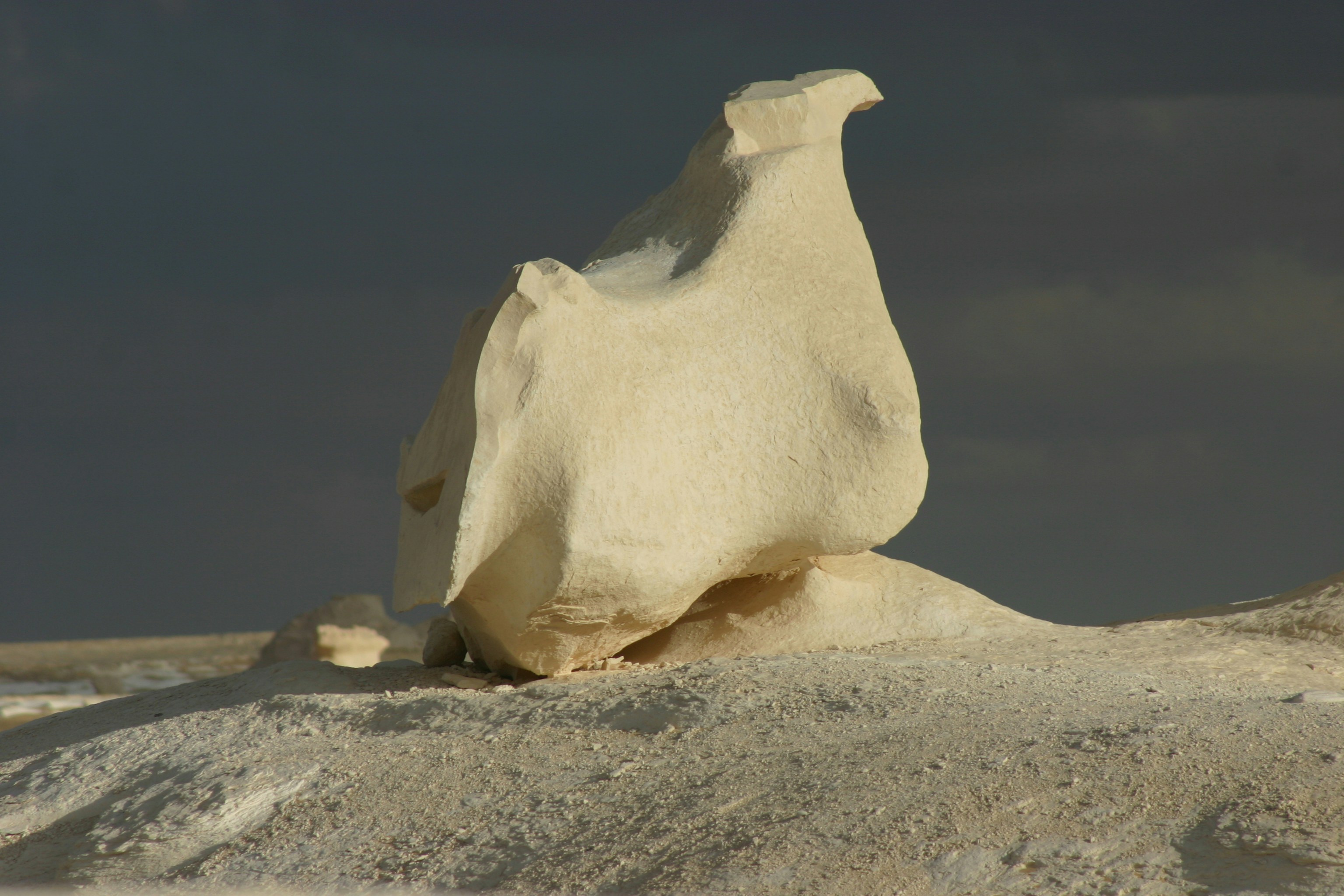 Dune Gargoyle: Erosion-formed Sentinel in Quiet Sands