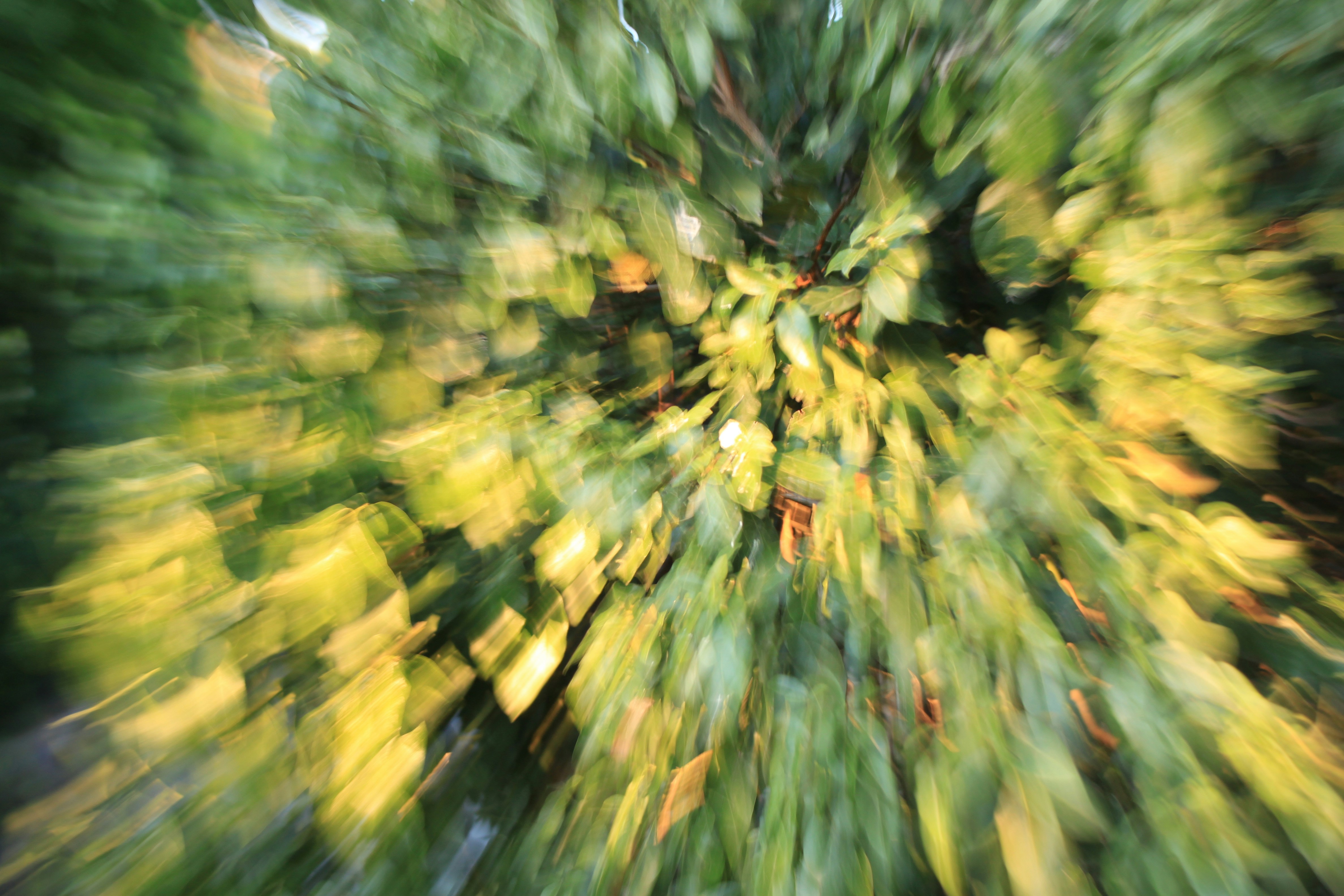 Photo by Murat Demir with Canon EOS 500D