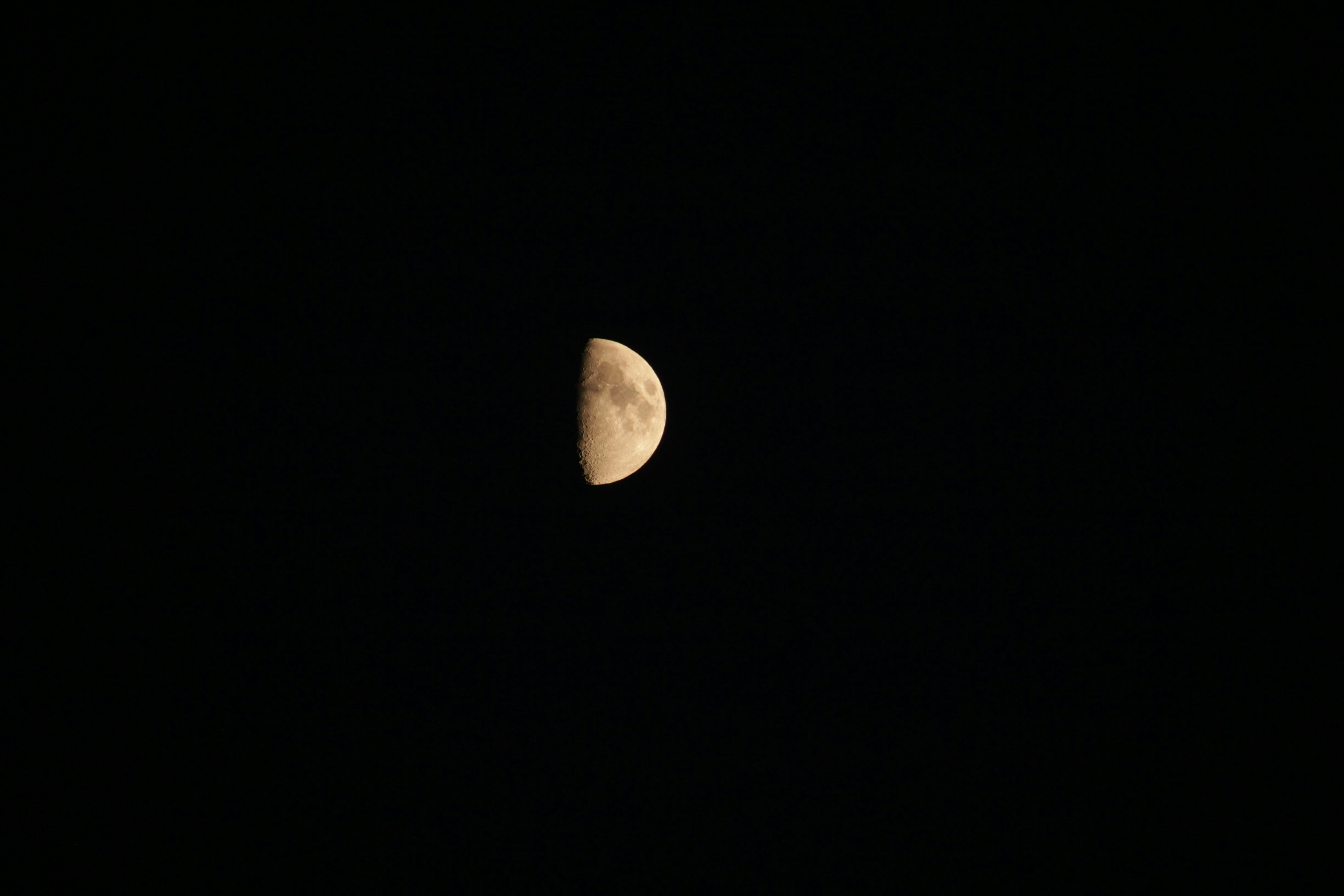 Crescent Moon in a Velvet Night