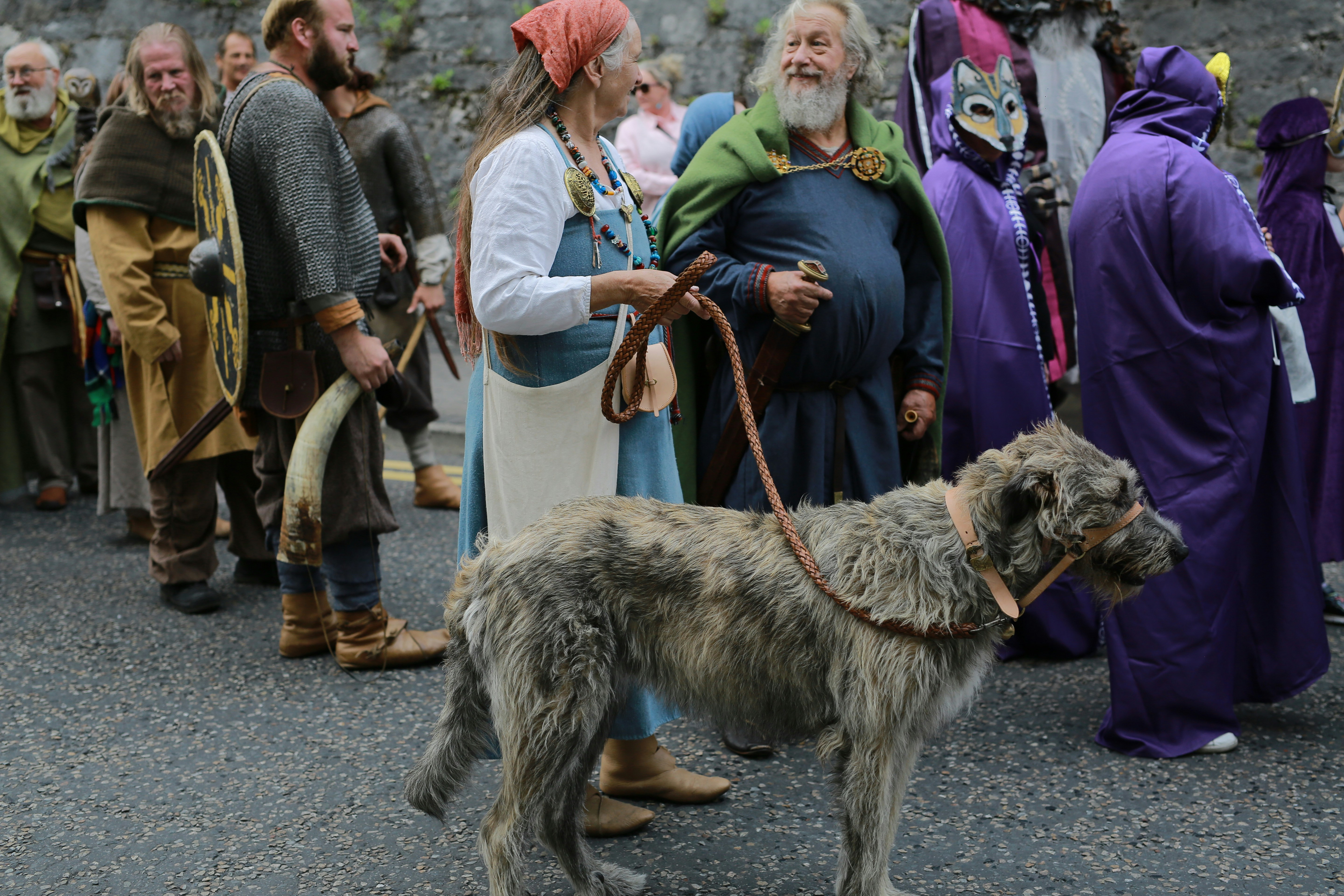 Medieval Procession with a Curiously Calm Hound