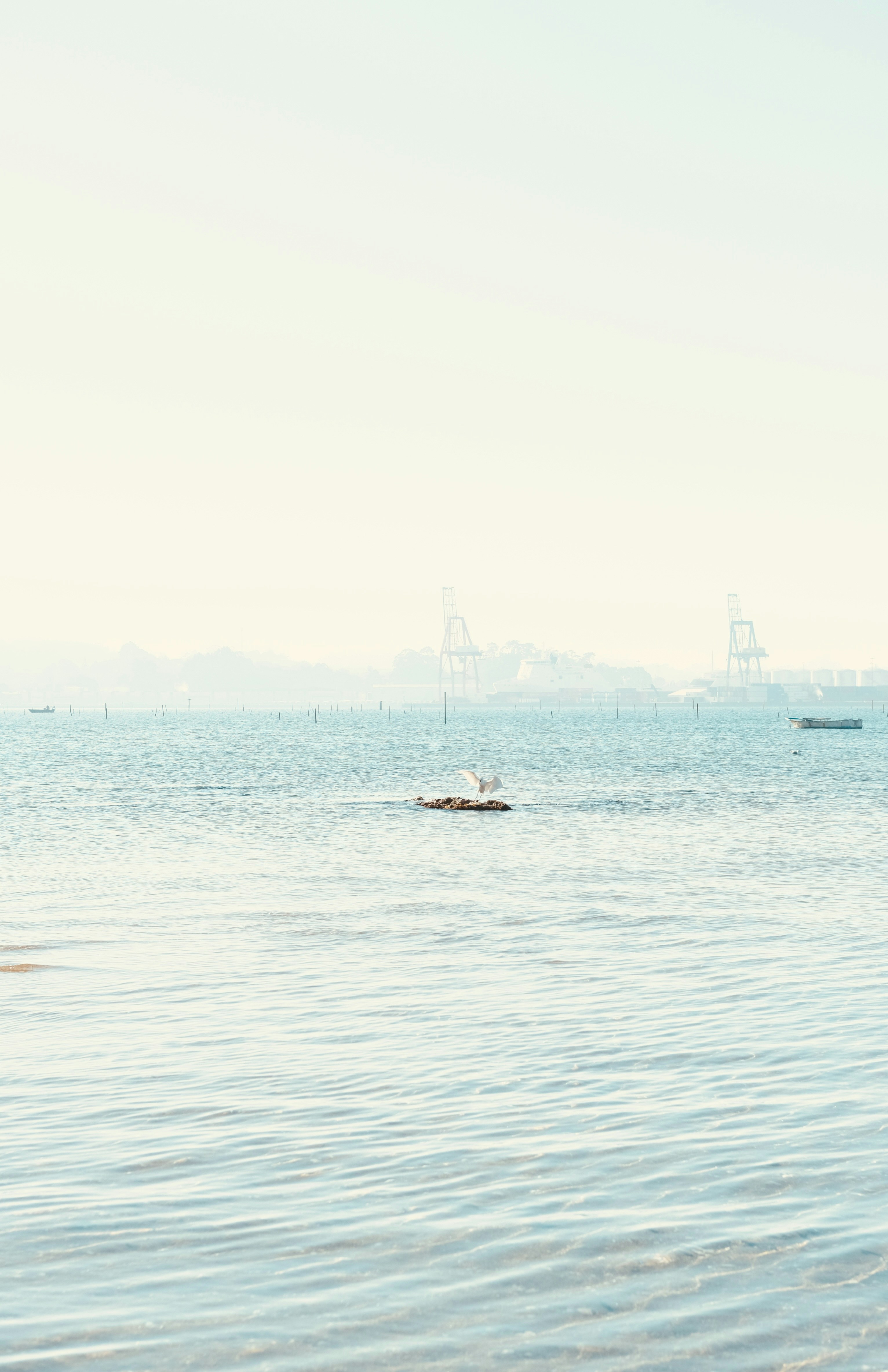 Mist over the Harbor: A Quiet Seascape with a Distant Crane