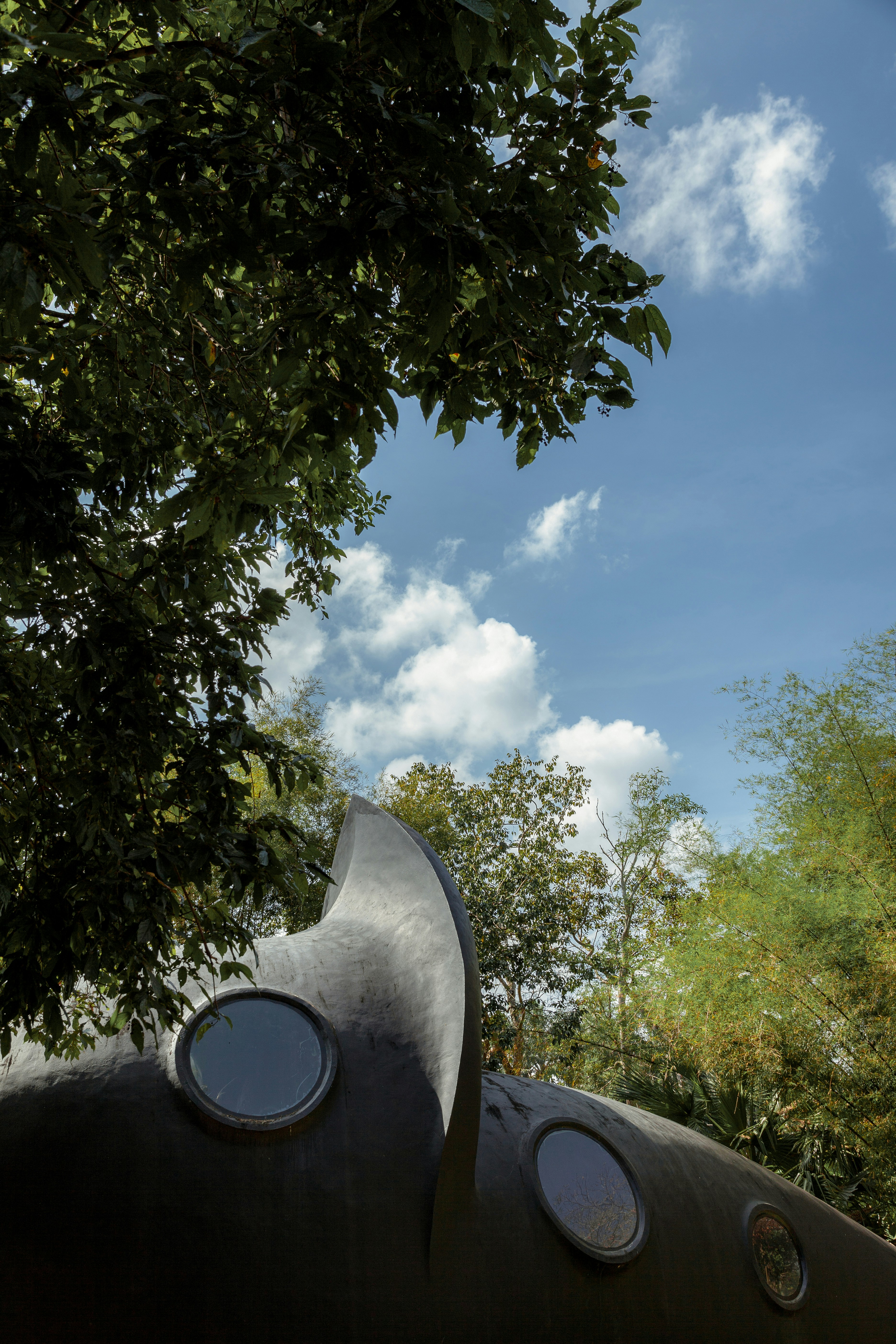 Curved Steel Sentinel Under a Sky of Cloud and Leaves