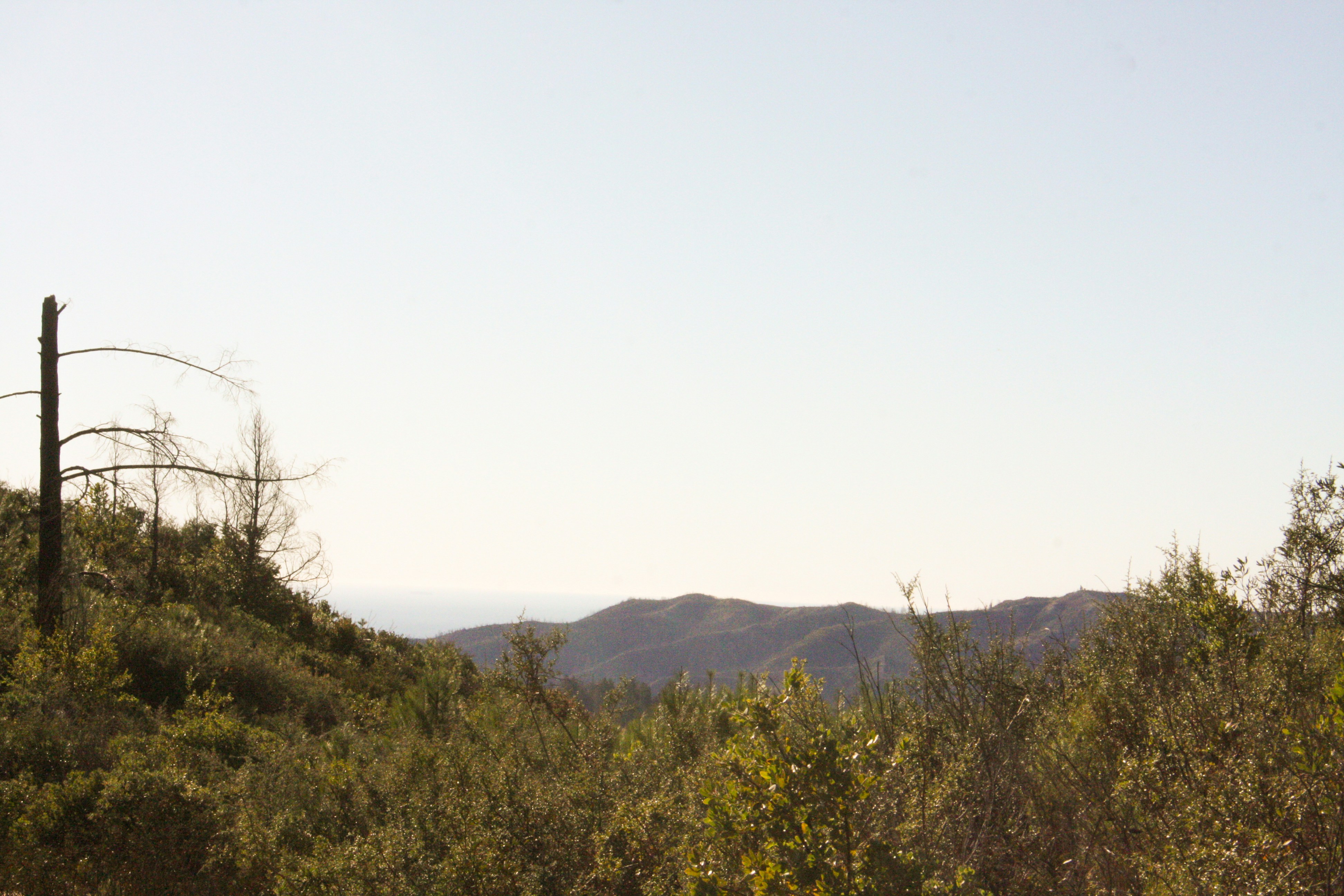 Photo by Abhinav Gorantla with Canon EOS 40D