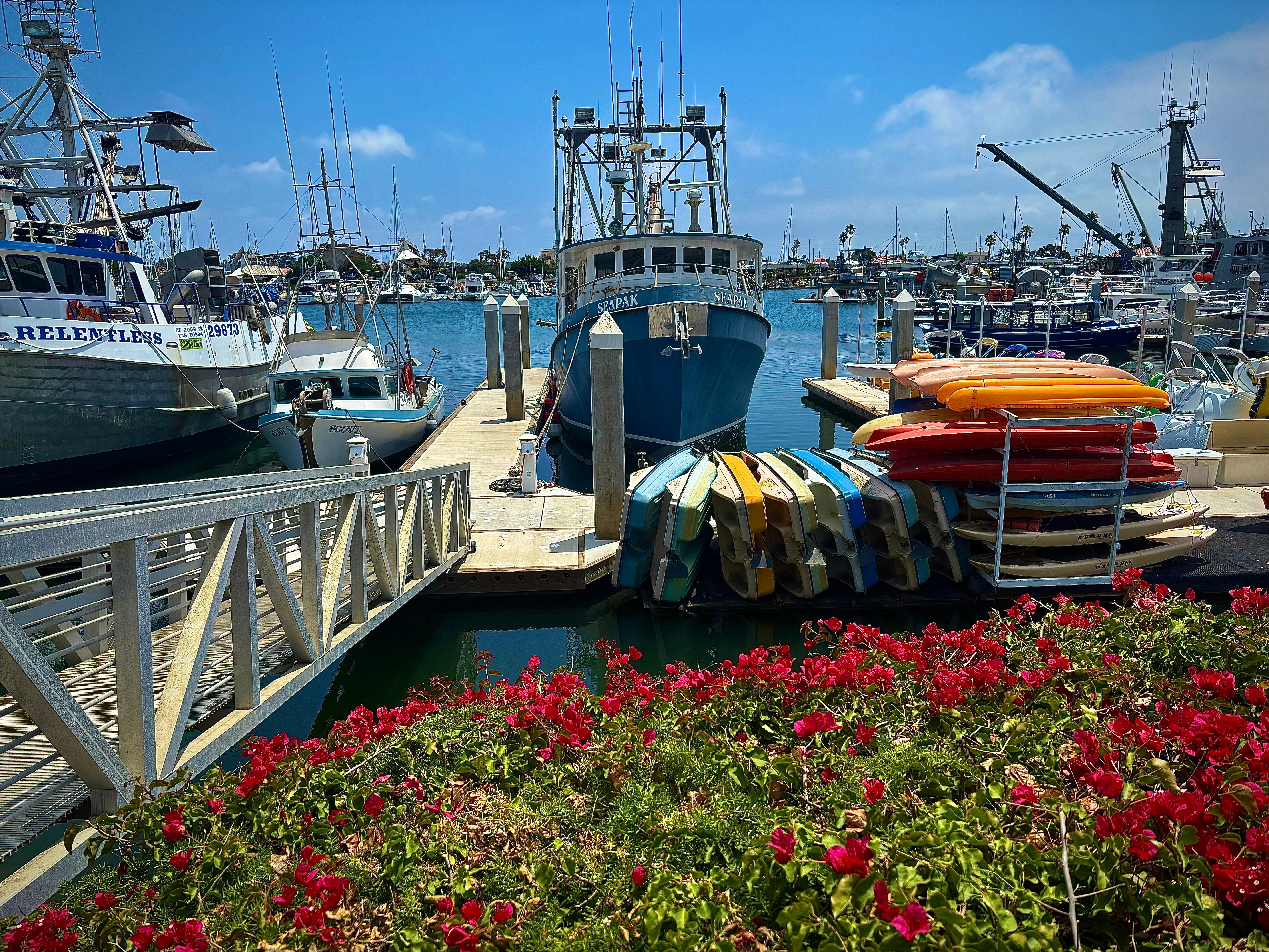 Harbor of Color and Craft: Boats, Kayaks, and Bougainvillea