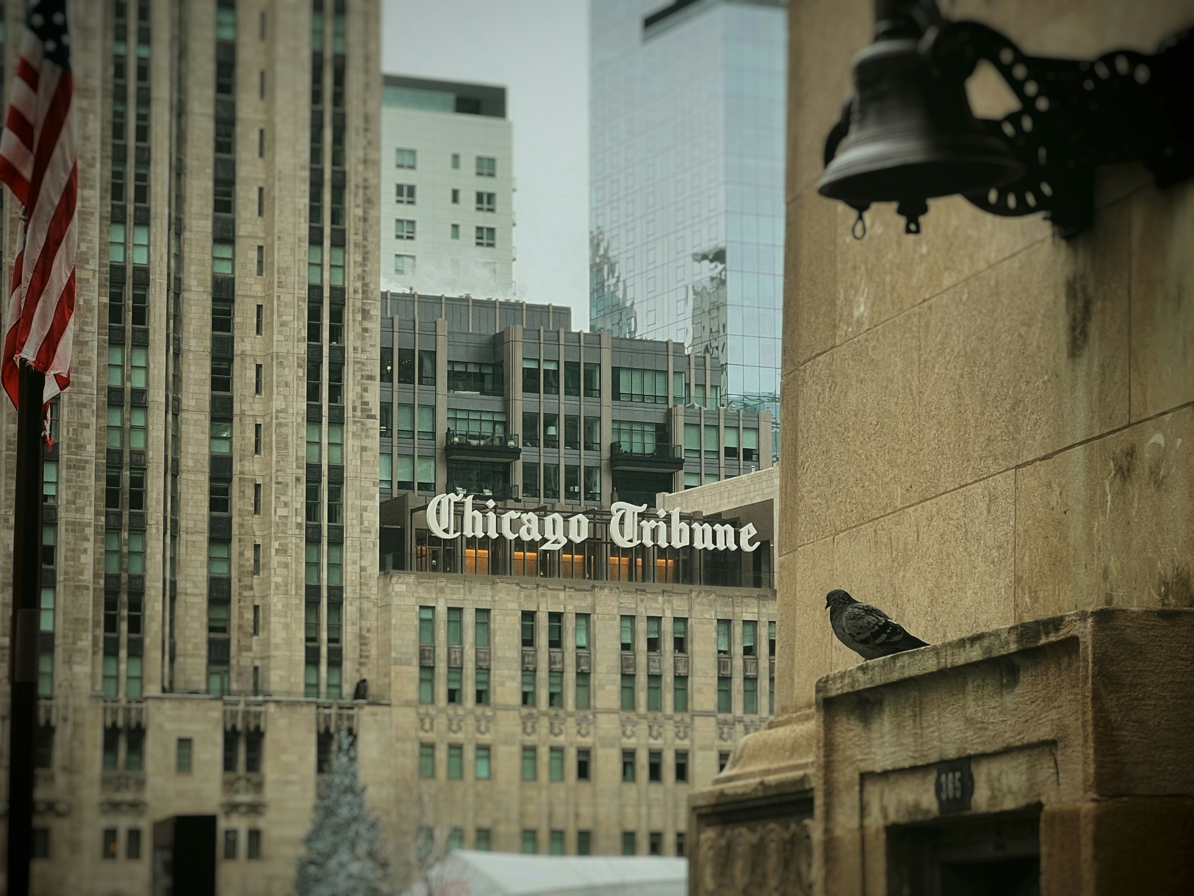 City Embrace: The Chicago Tribune Garden Arch and Skyscrapers