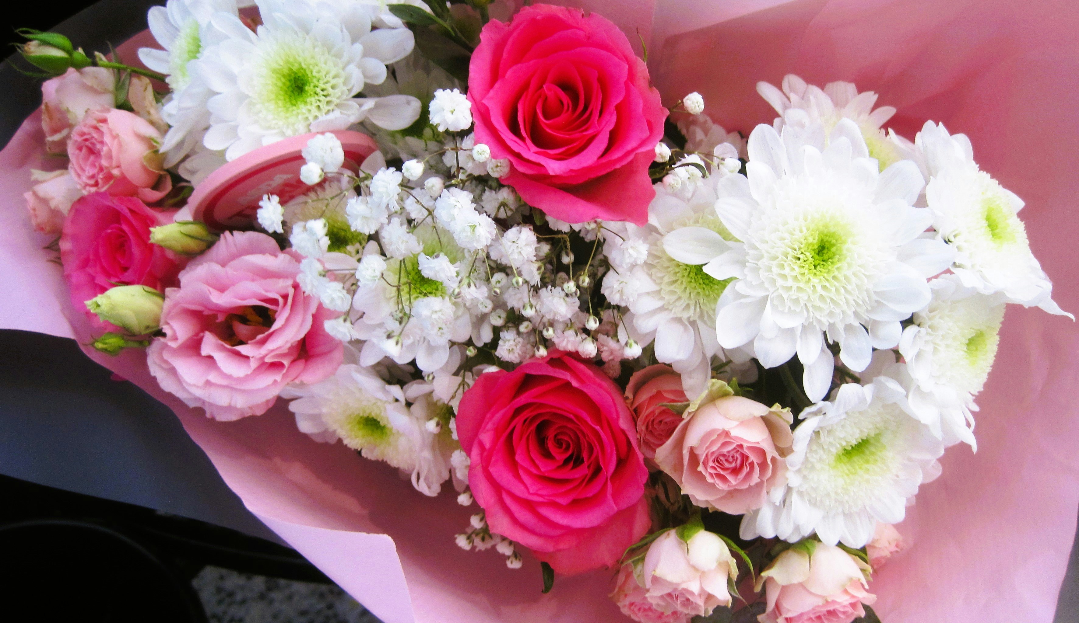 taken december 22nd 2025