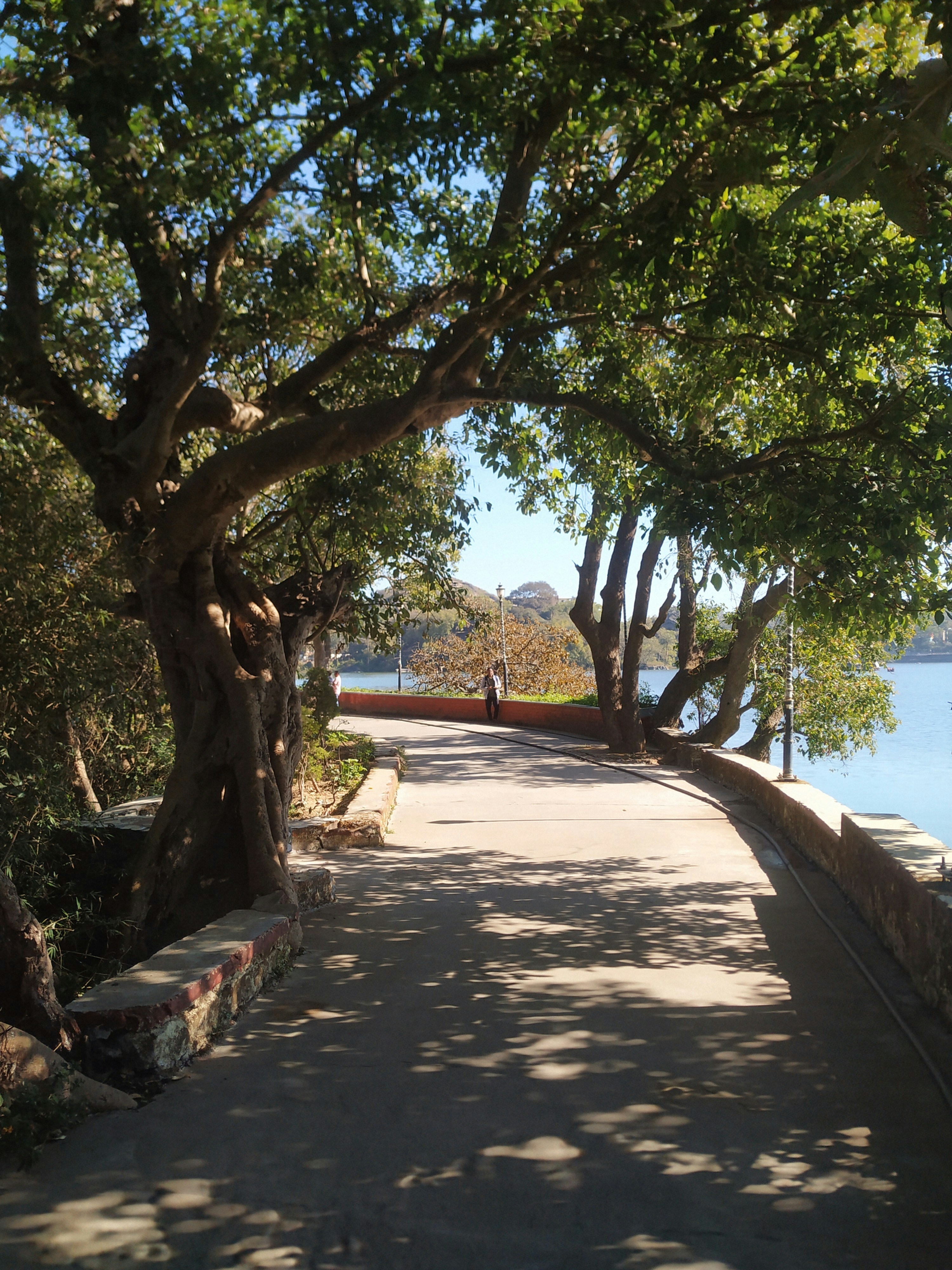 Shaded Seaside Promenade: A Sunlit Walk Beneath Tangerine Canopies