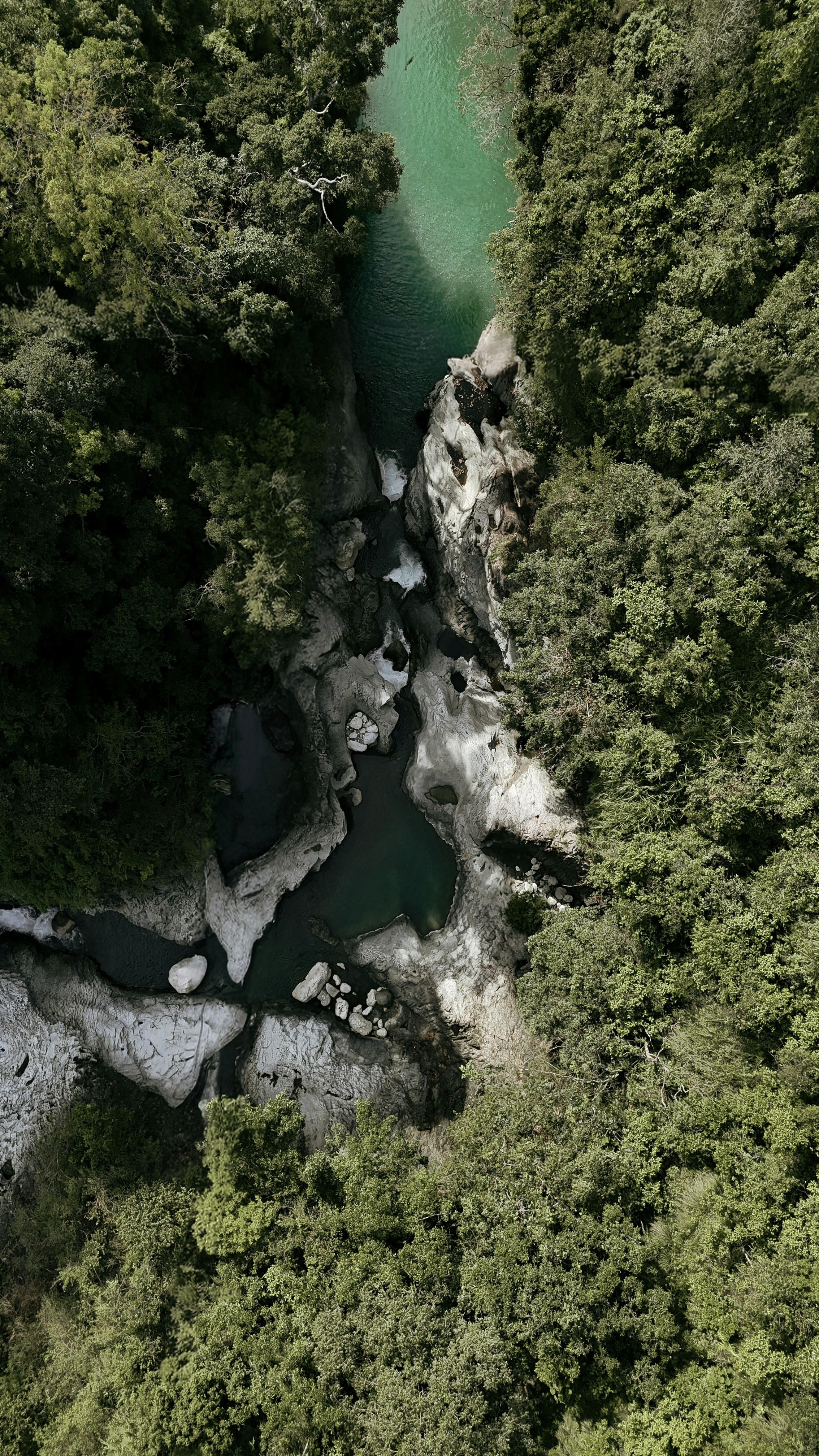 Verdant Gorge: Aerial Portrait of Turquoise Whittle Stream