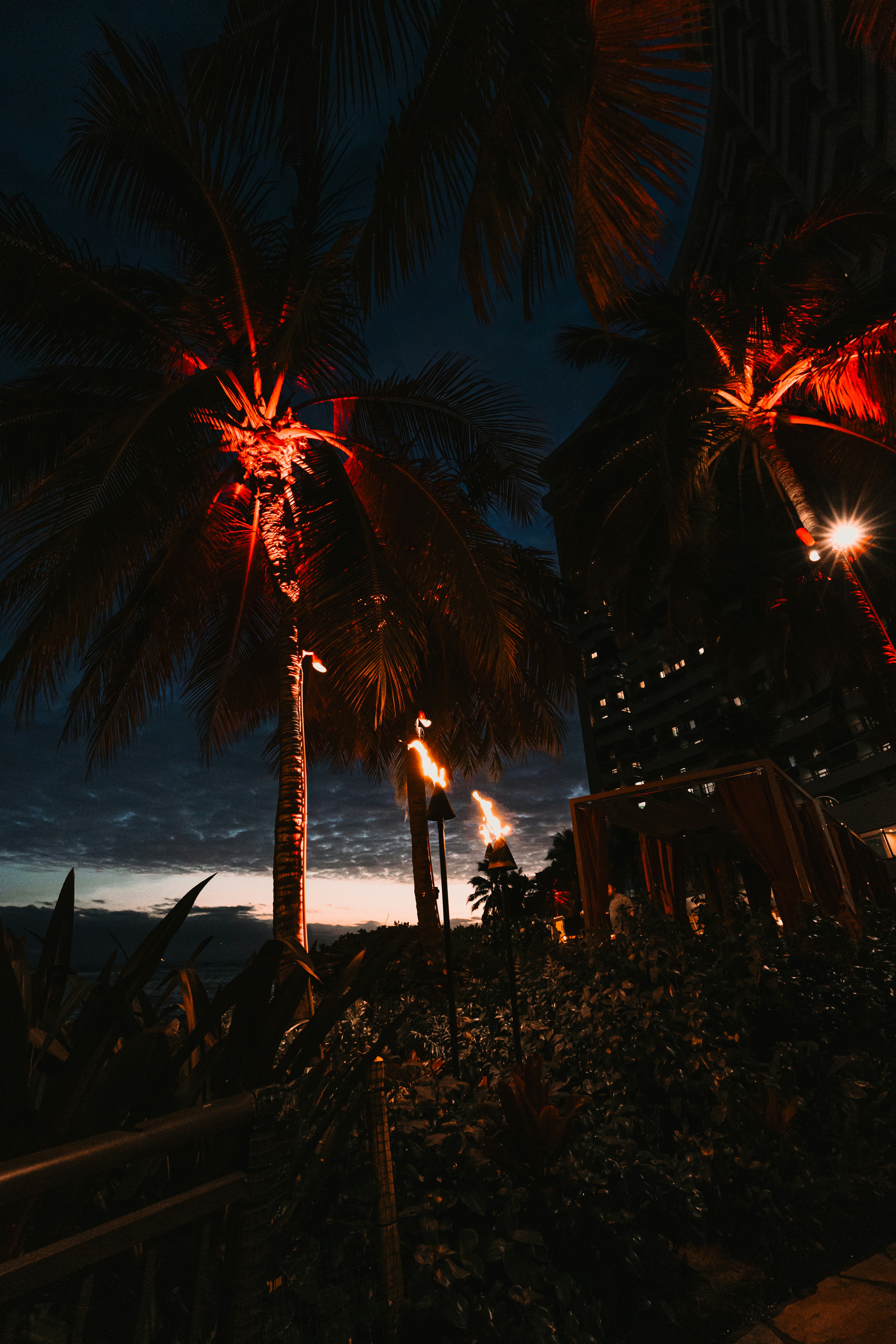 Night Flames Under Cradled Palms