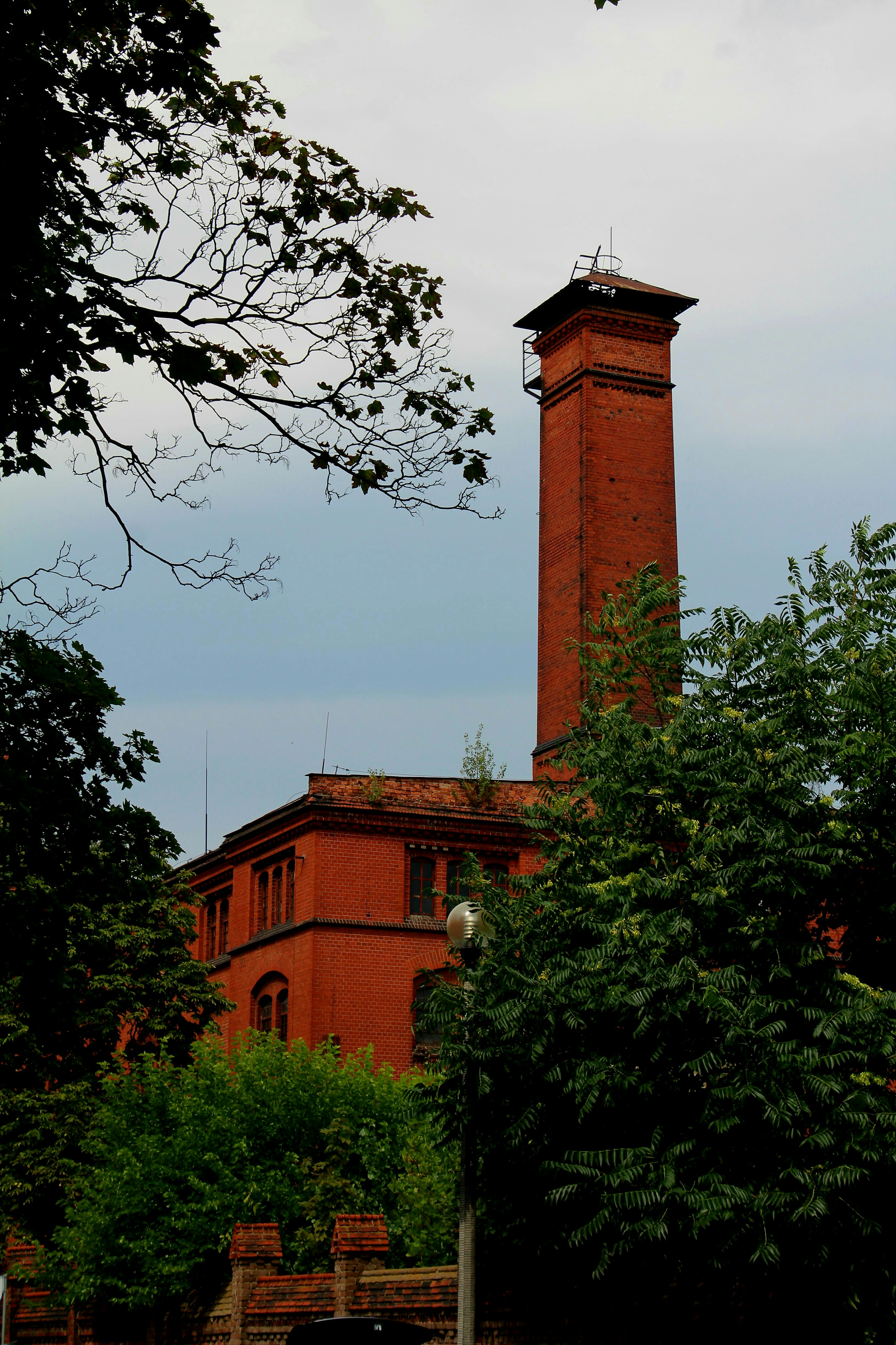 Red Brick Chimney Rising Over Green Canopy