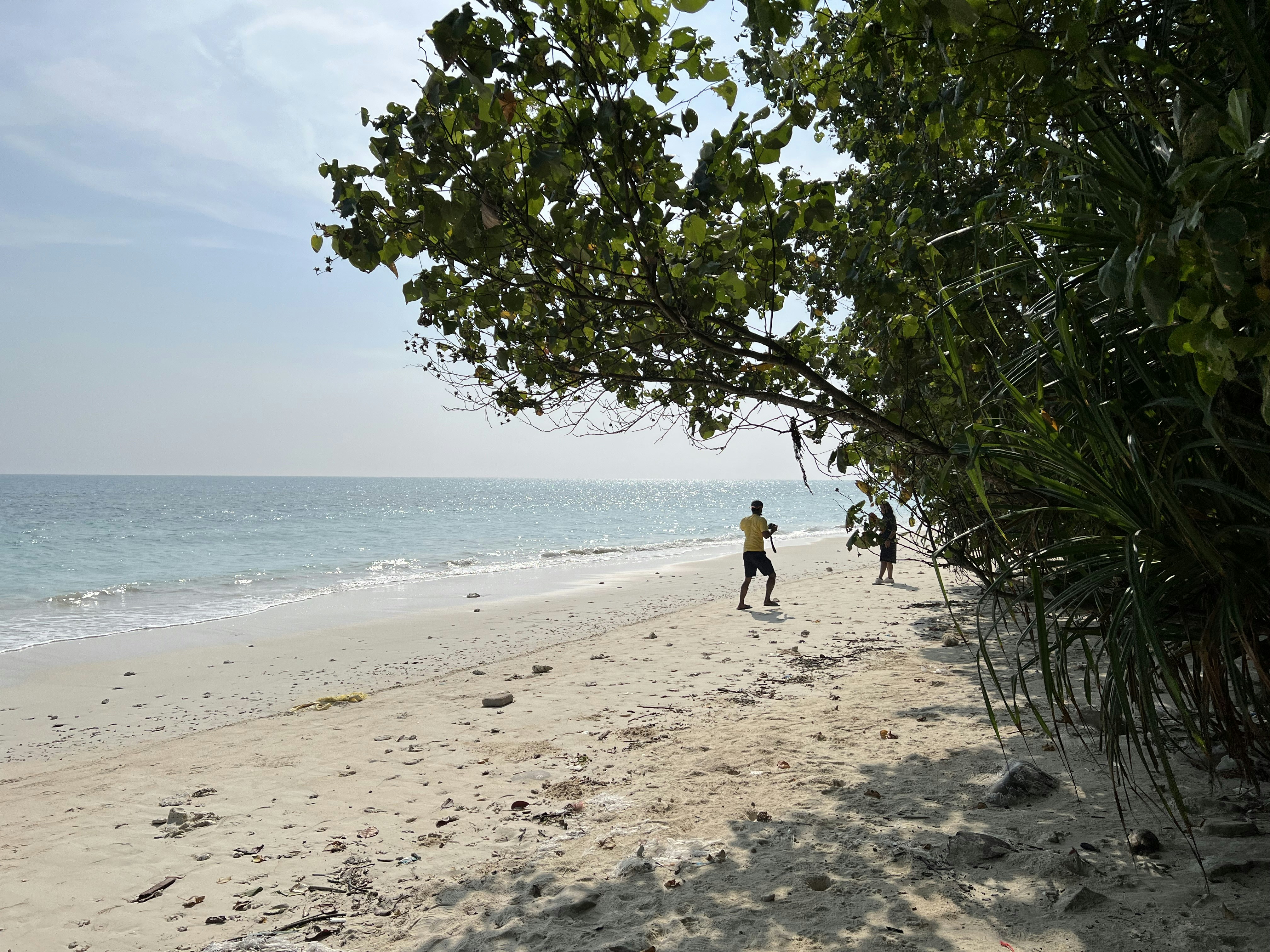 Two wanderers on a sunlit tropical shoreline beneath a leafy canopy