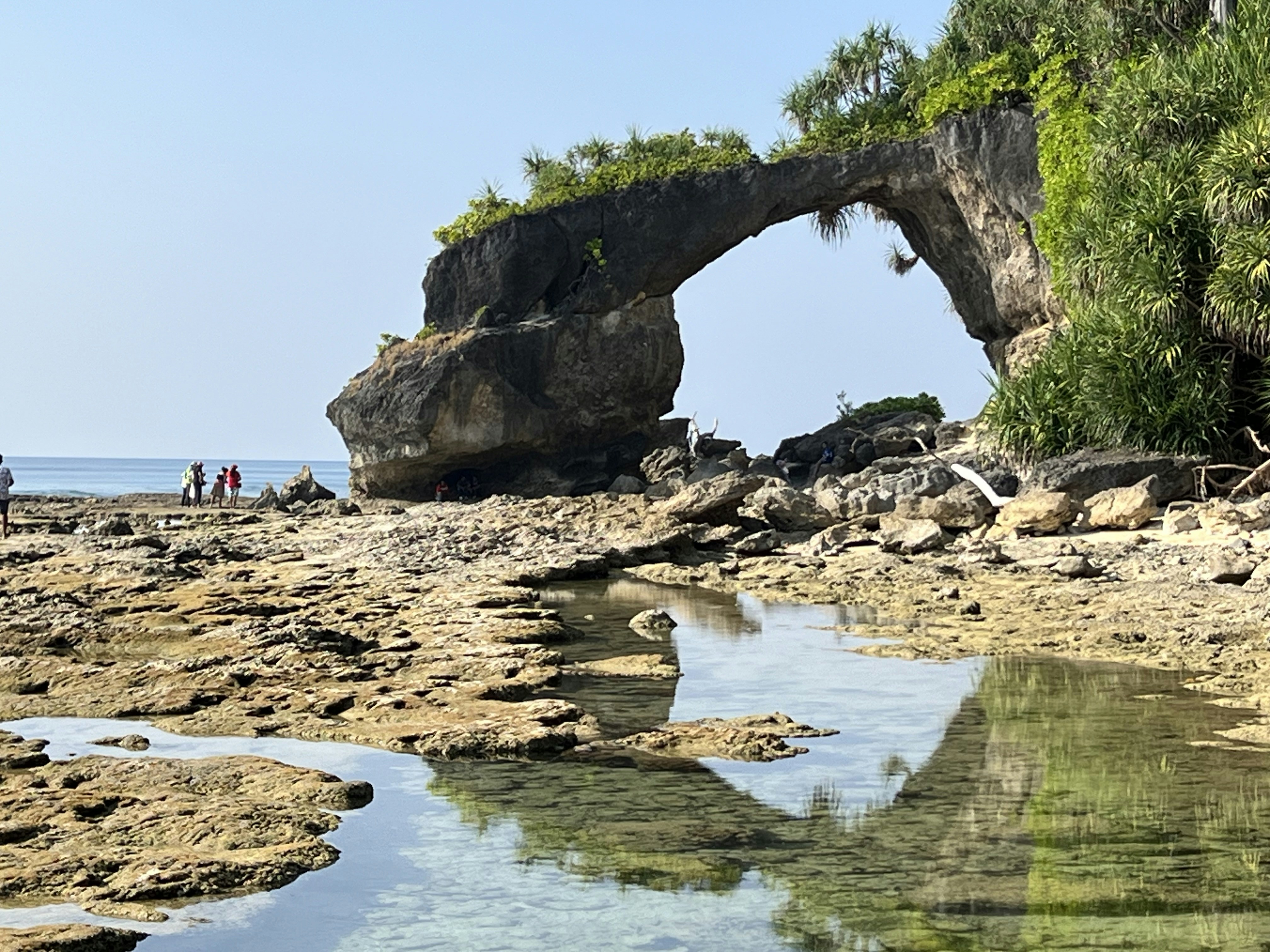 Sea Arch Overlook: A Rocky Gateway by the Tidal Flats