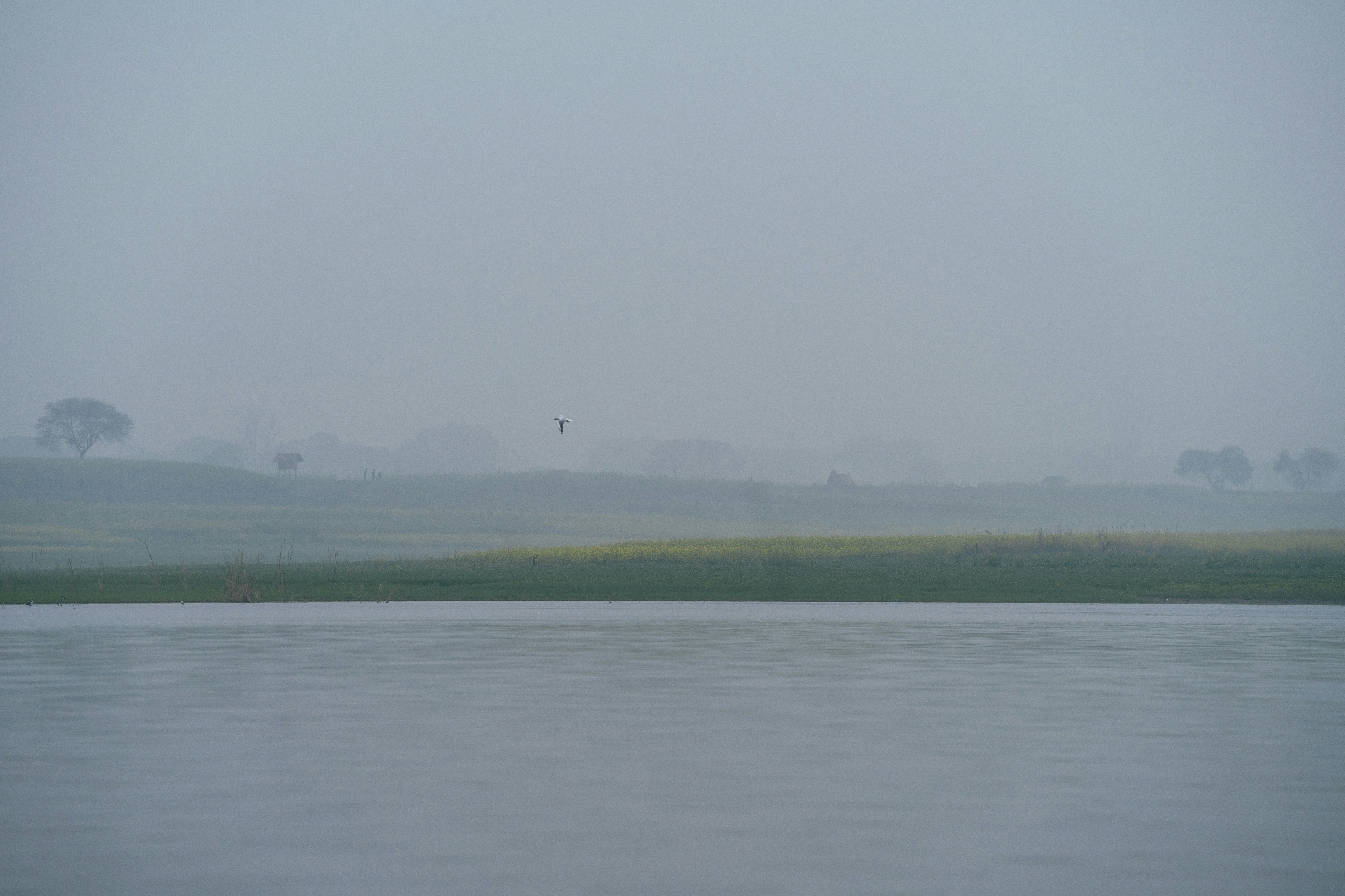 Mist over Lacustrine Flats: A Quiet Dawn with a Distant Horizon