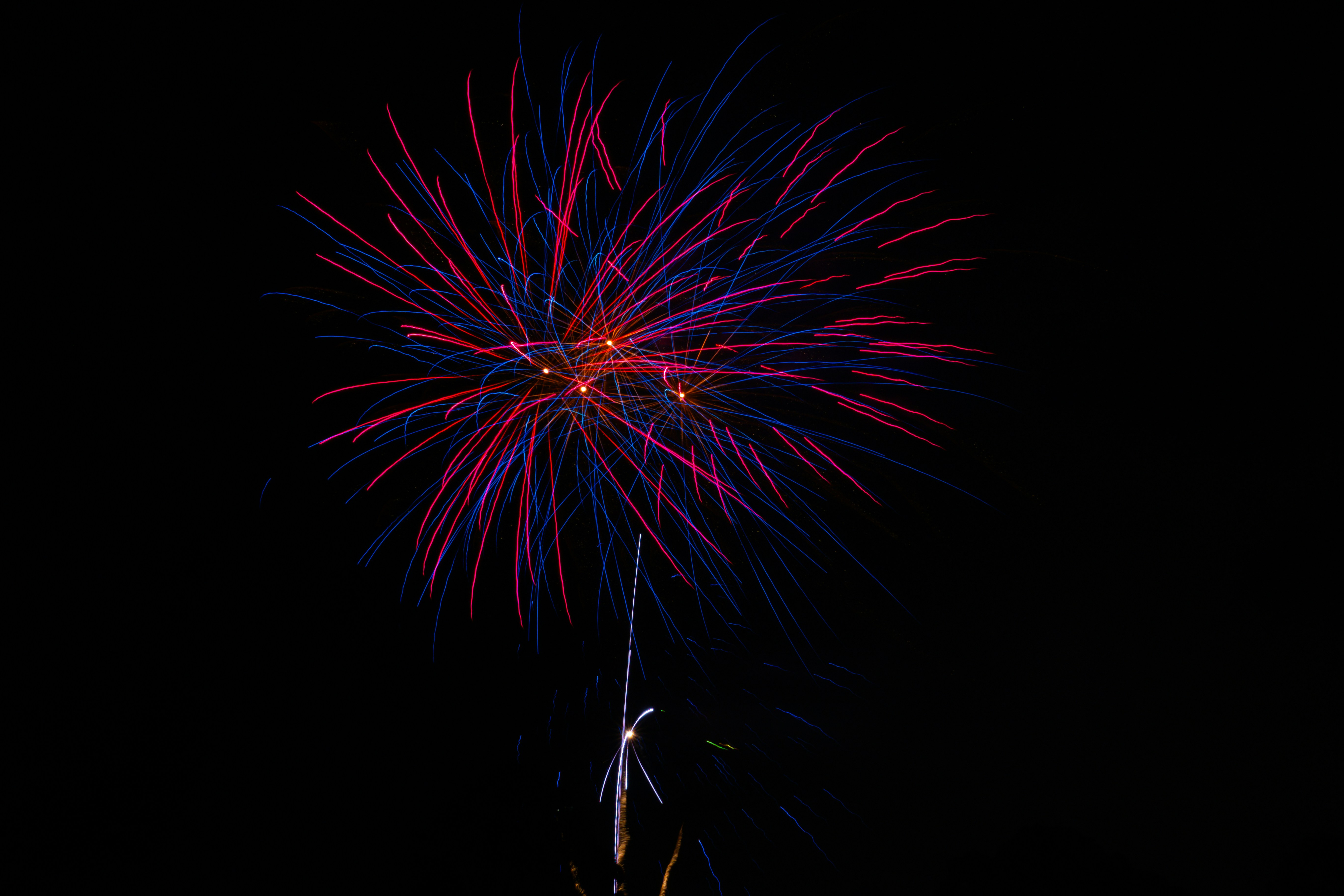 Midnight Bloom: Red-Blue Firework Burst Over Dark Sky