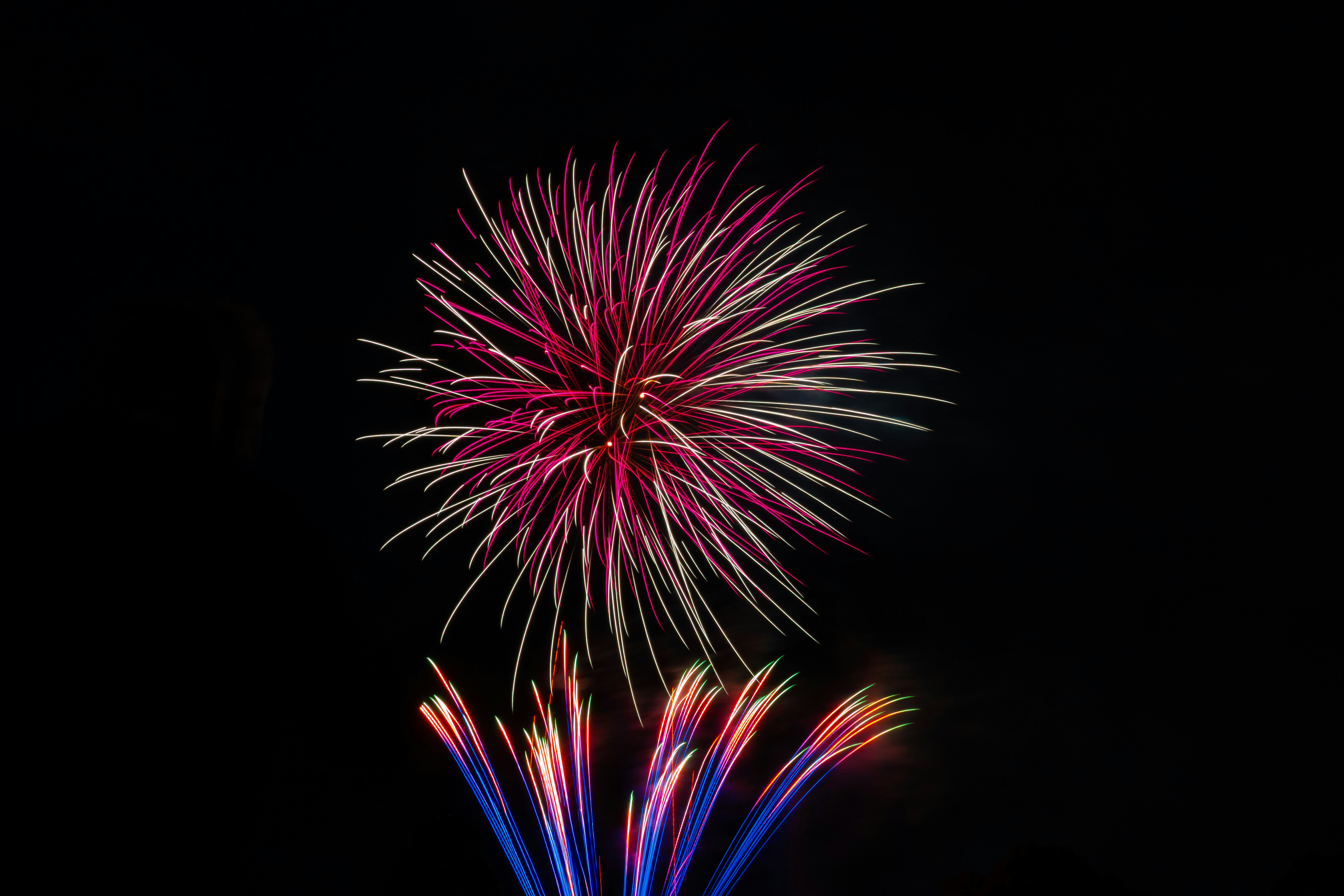 Bloom of Night: Pink Chrysanthemum Above a Cascade of Neon Comets