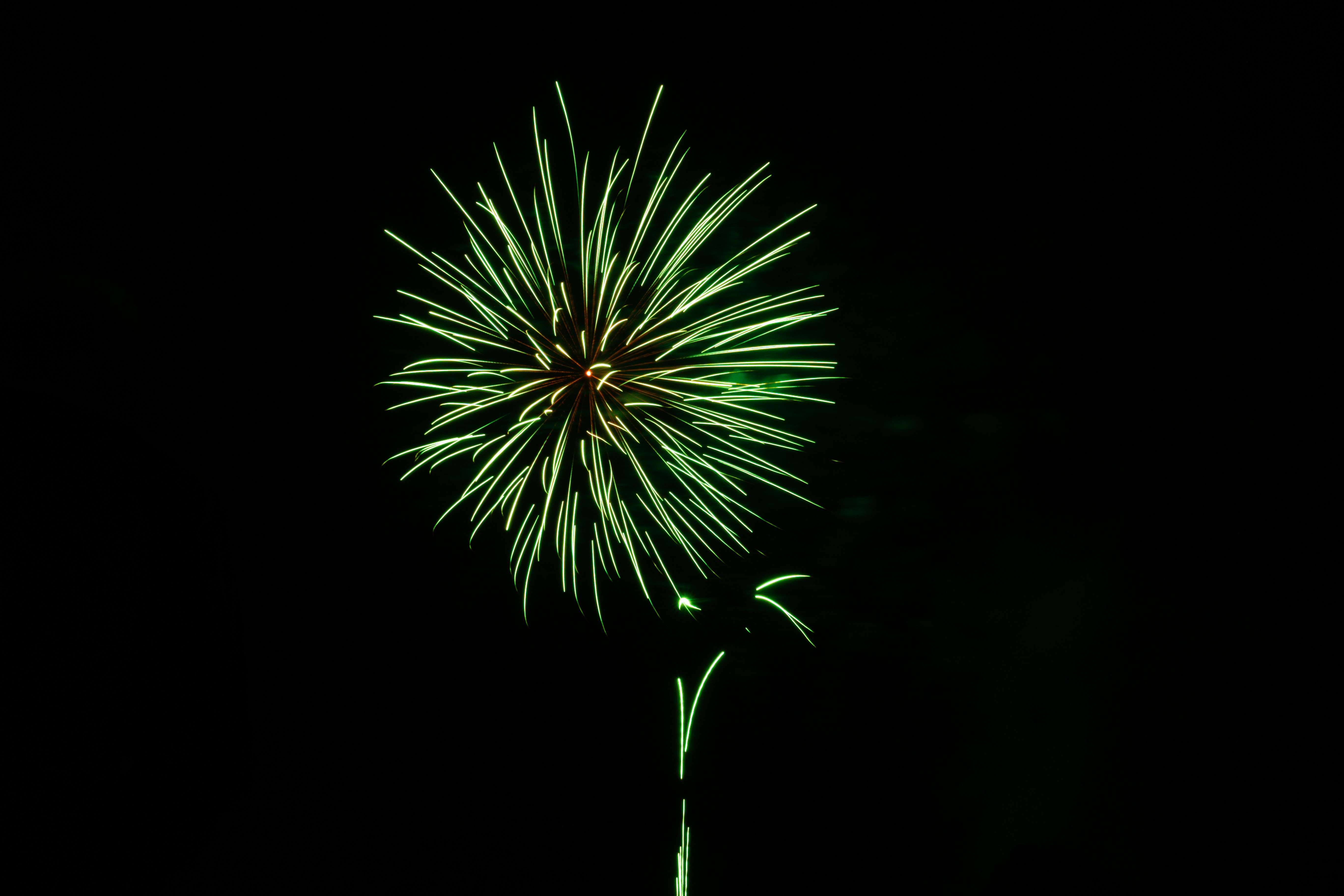 A single green firework exploding in the night sky. photo – Free Night ...