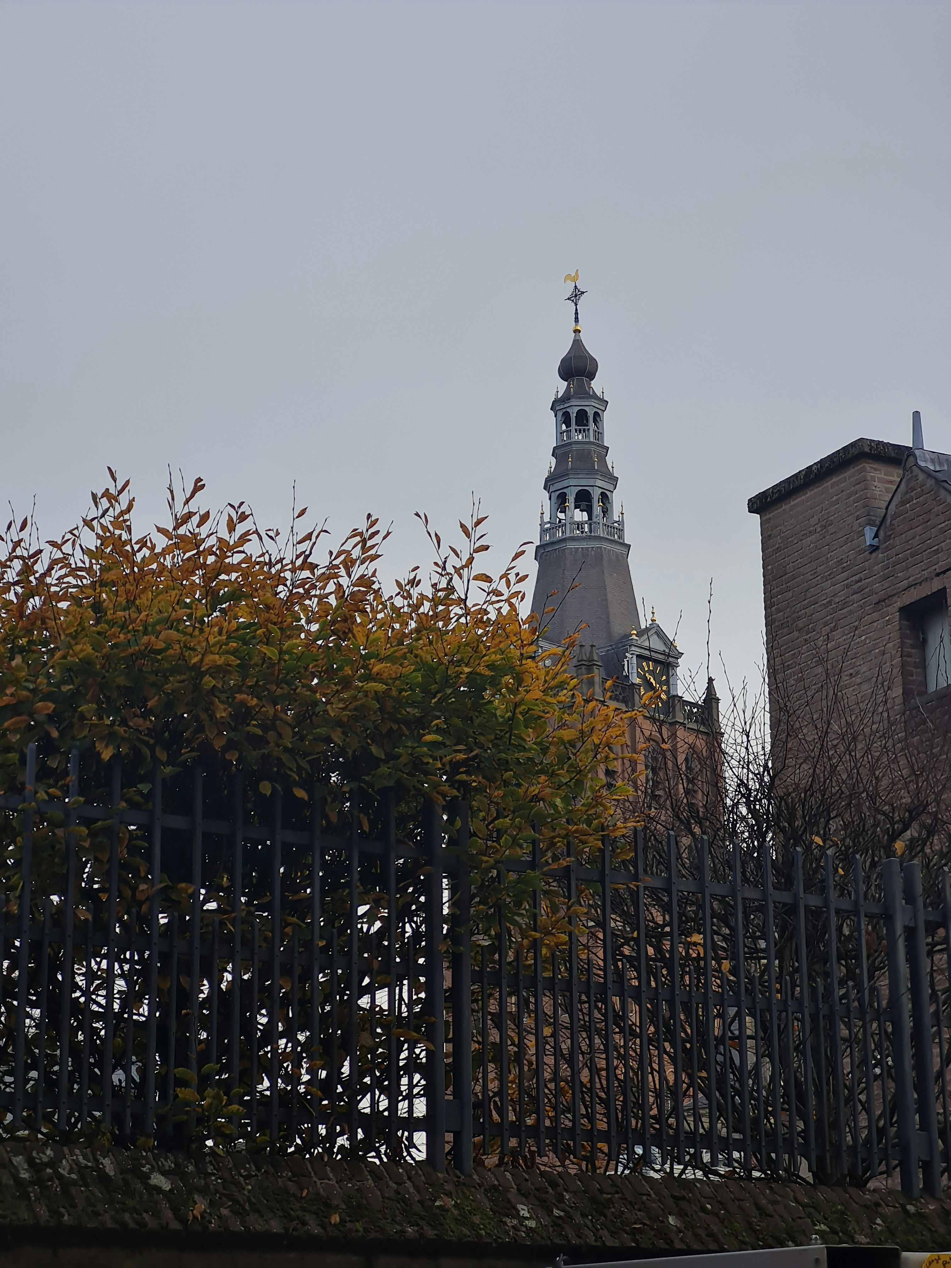 Clocktower in the Cloaked City: Autumn Foliage Against Rusted Railings
