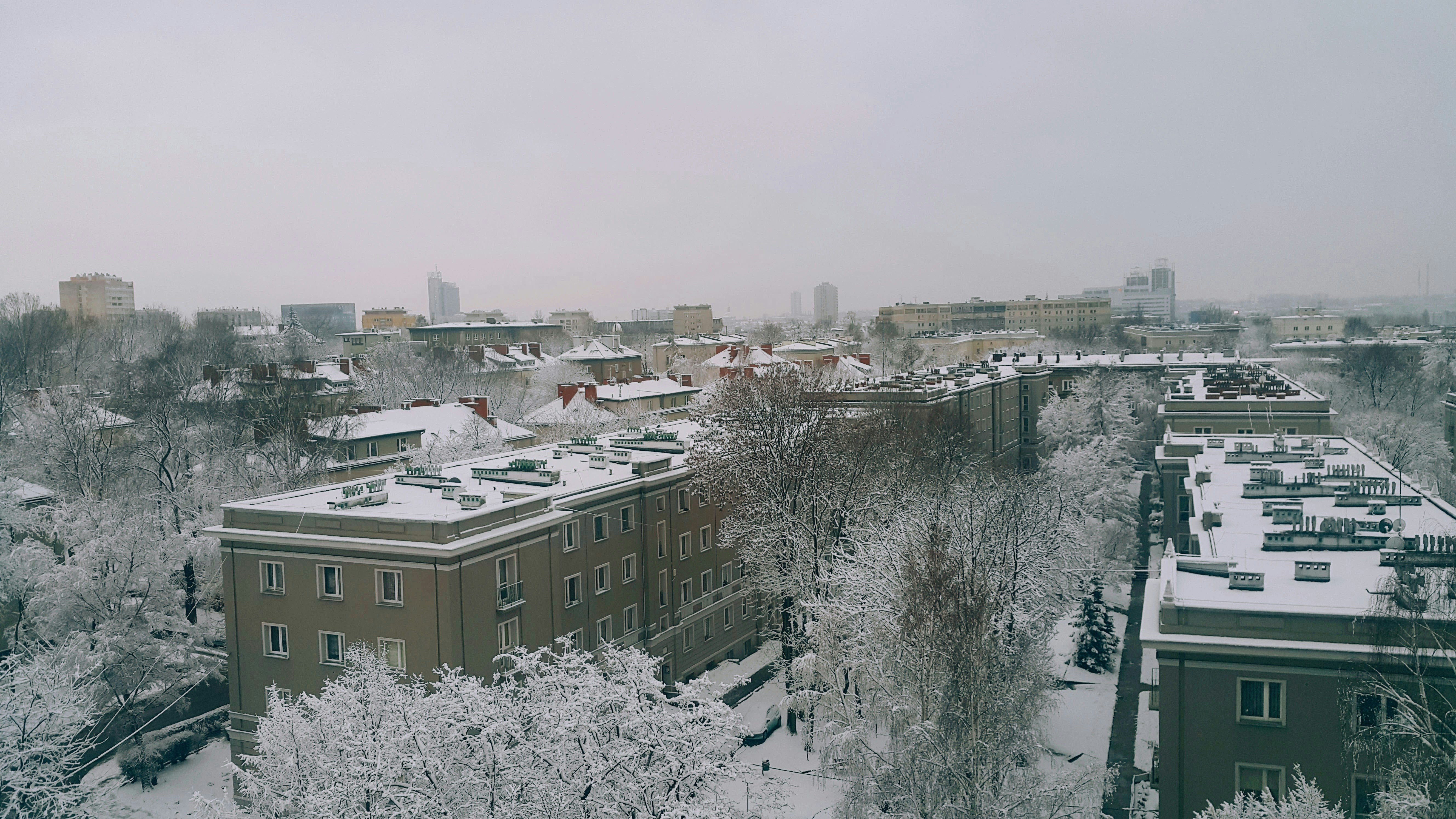Snow covered buildings and trees in a city.