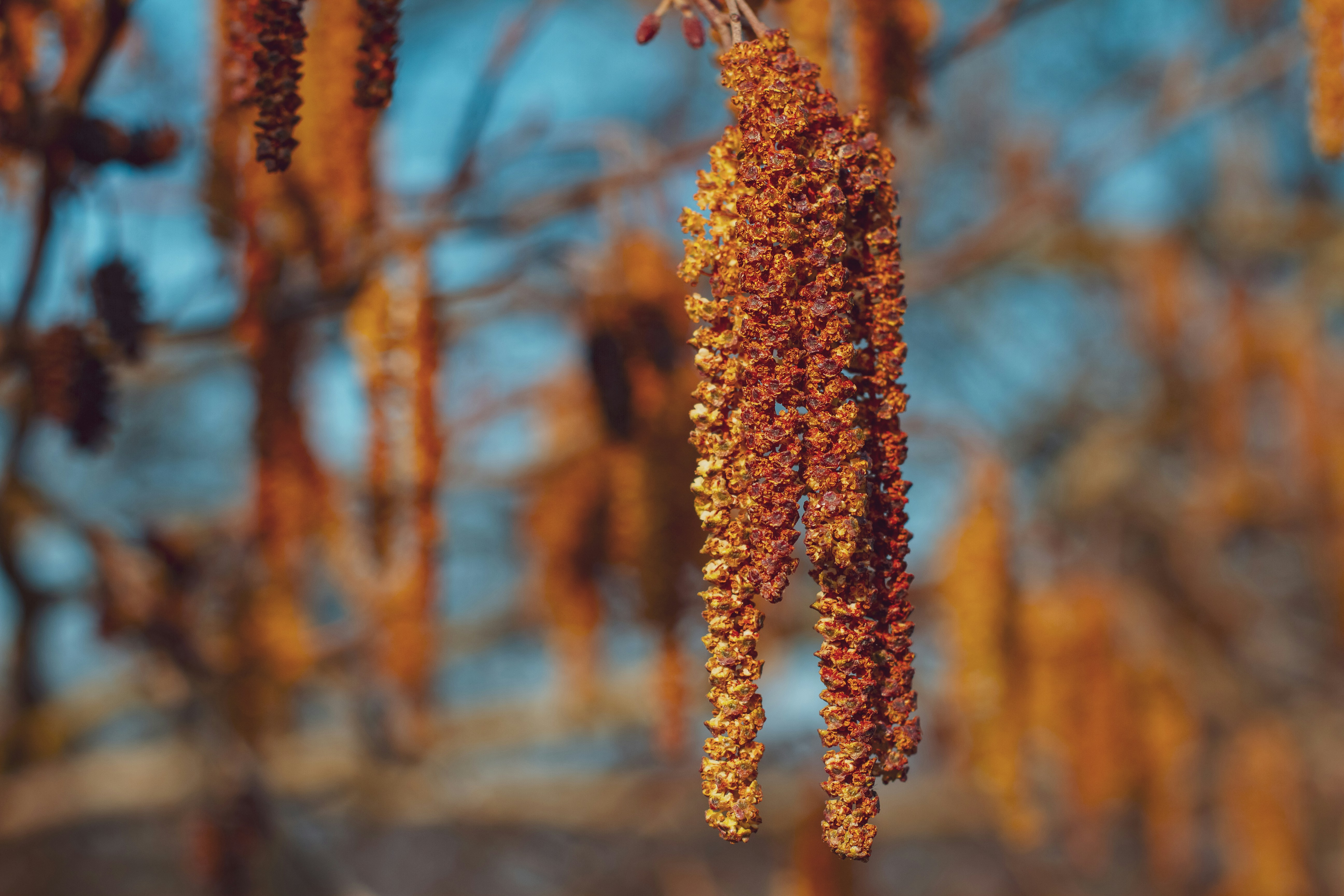 Photo by Lana with Canon EOS 7D