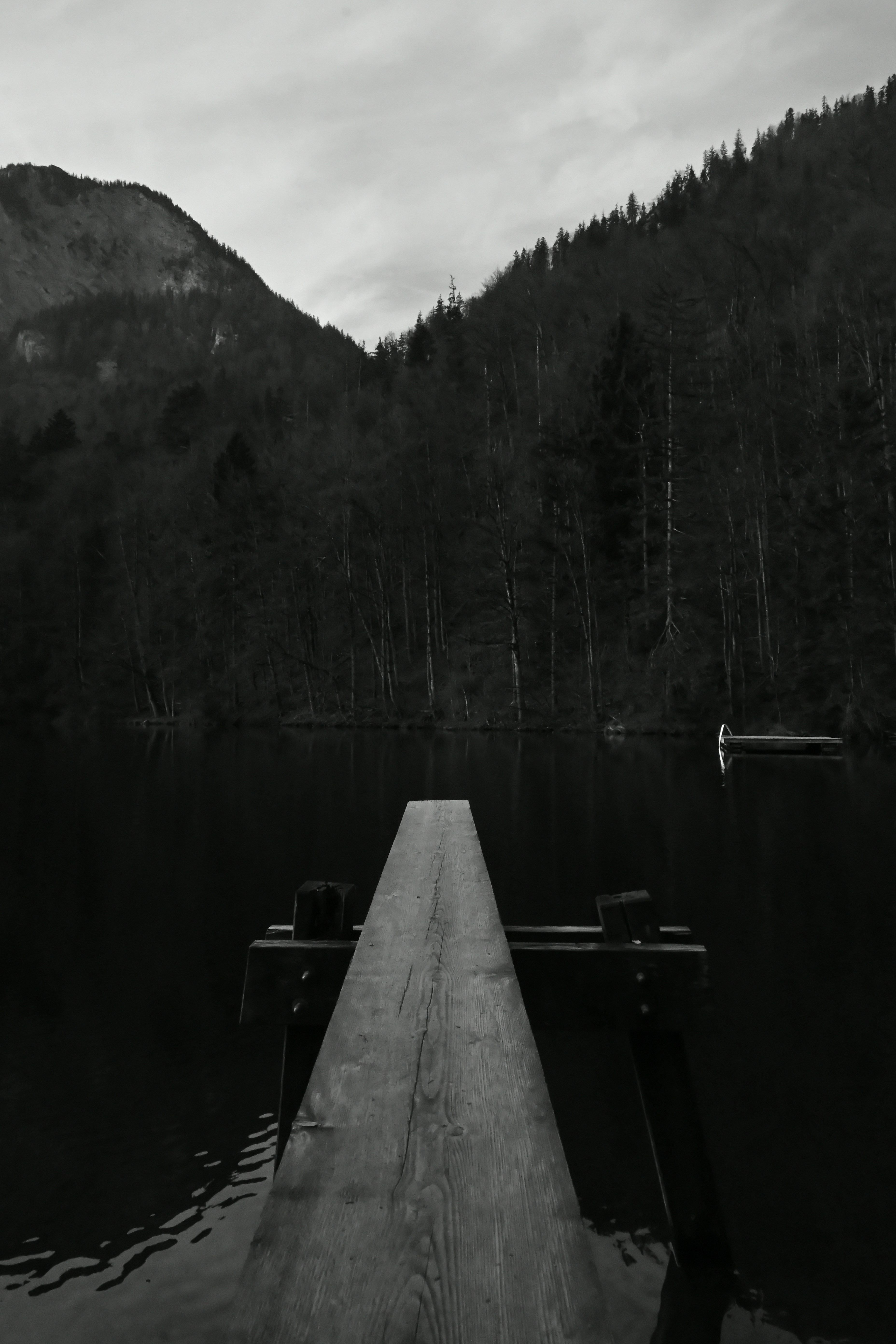 Photo by Niklas with Nikon Z50 II