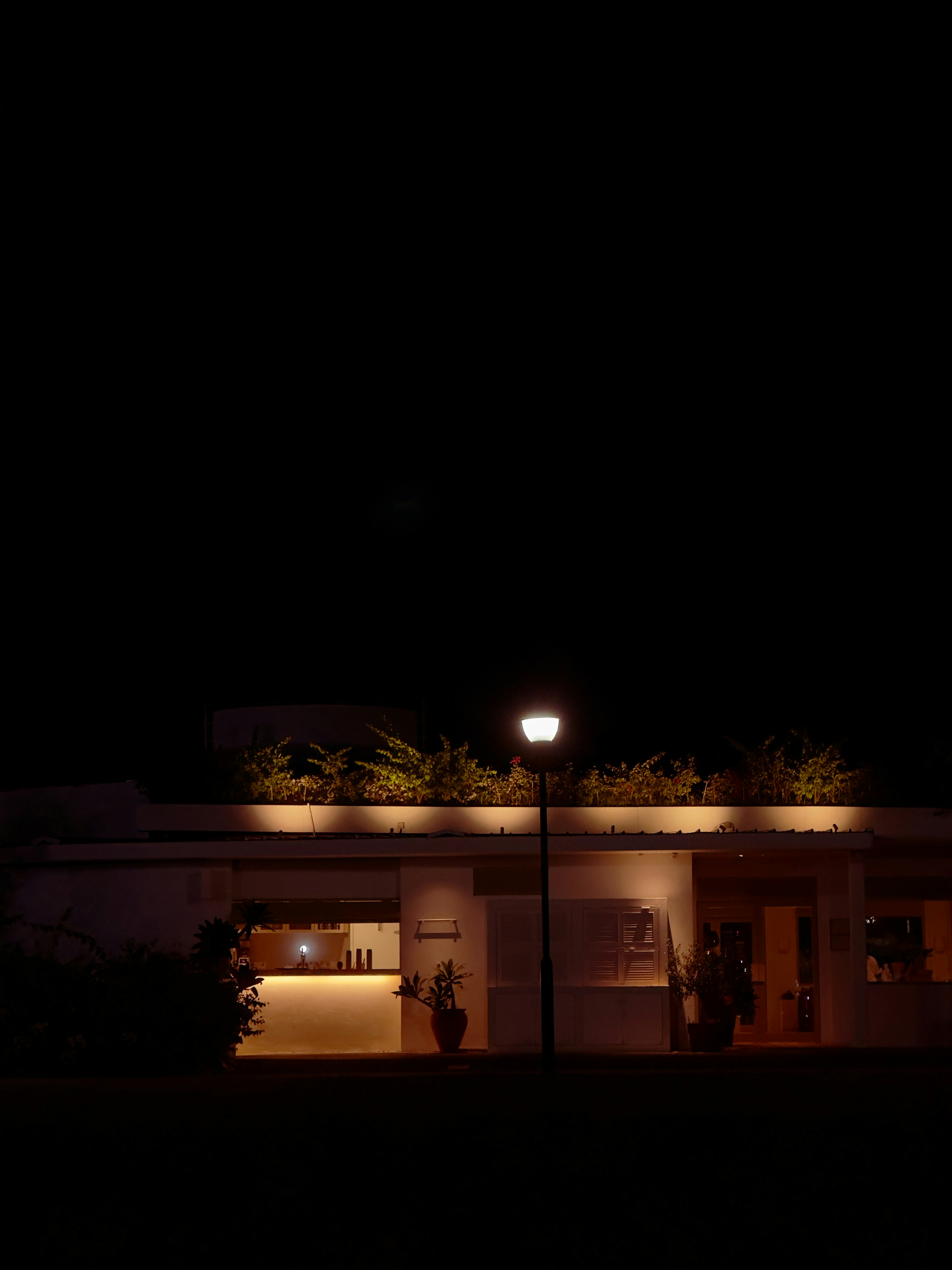 Night Exterior: Warm Entrance Glow Under a Streetlamp