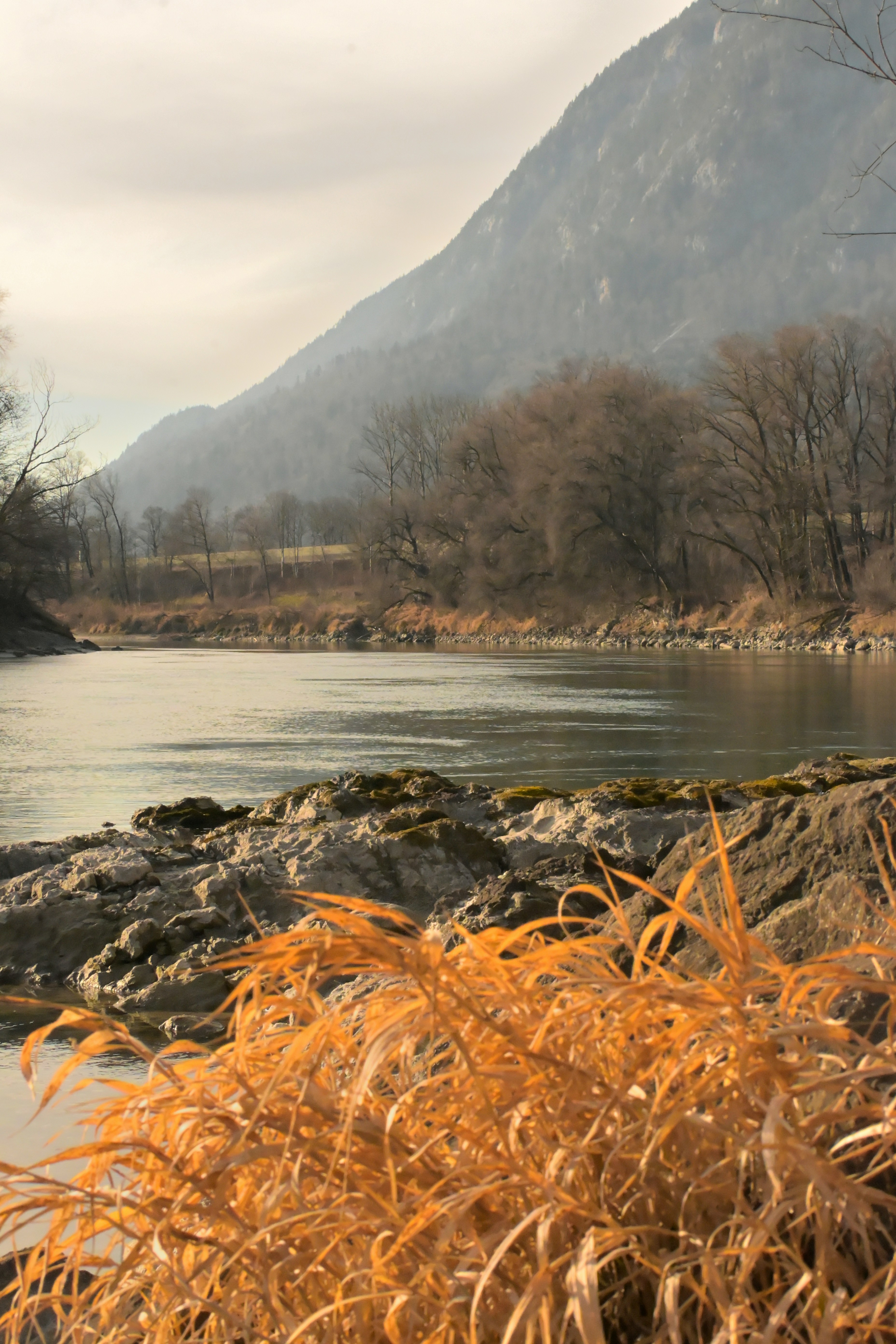 Photo by Niklas with Nikon Z50 II