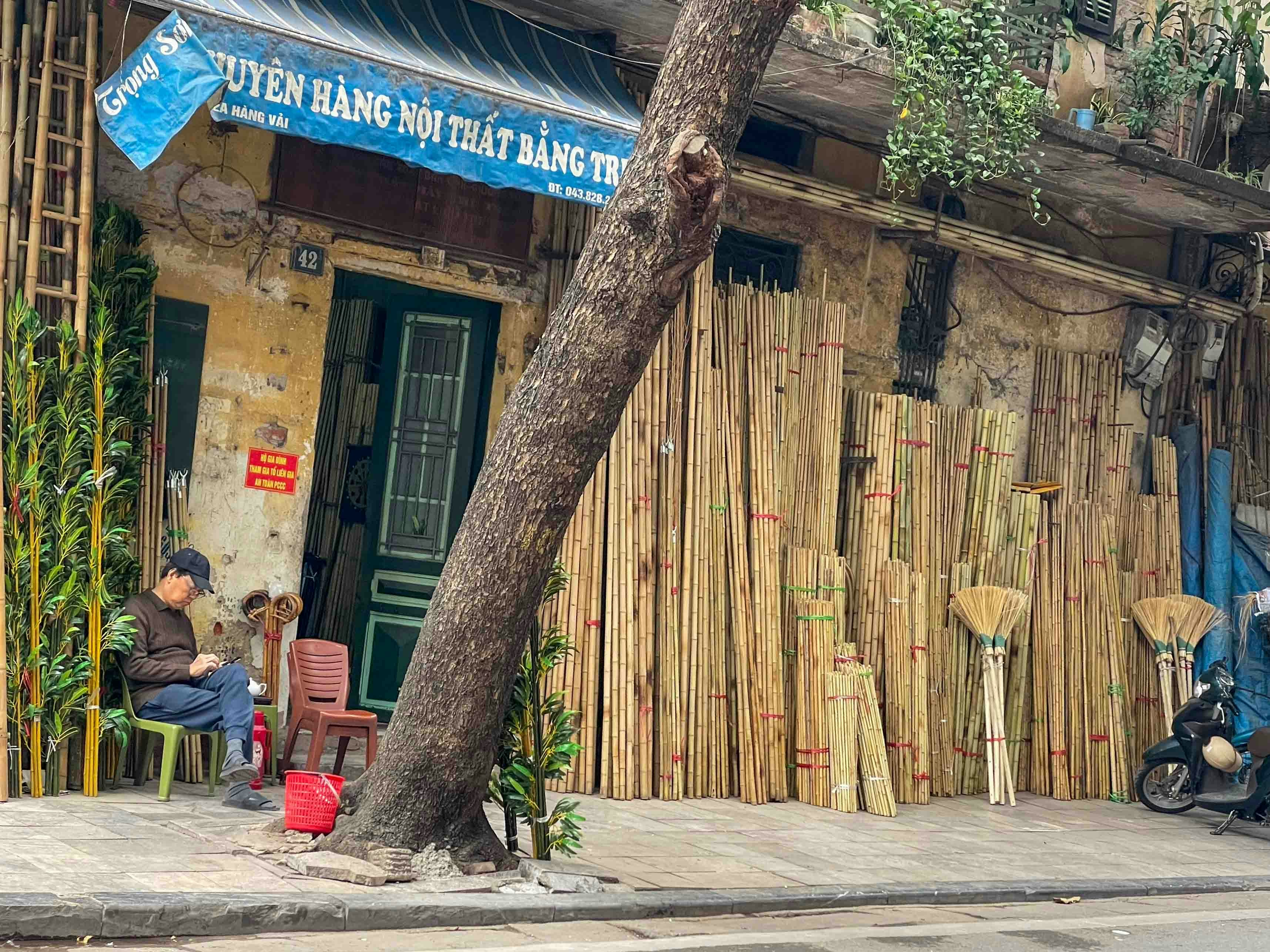 Tree-leaning storefront: a quiet corner by bamboo-fenced workshop