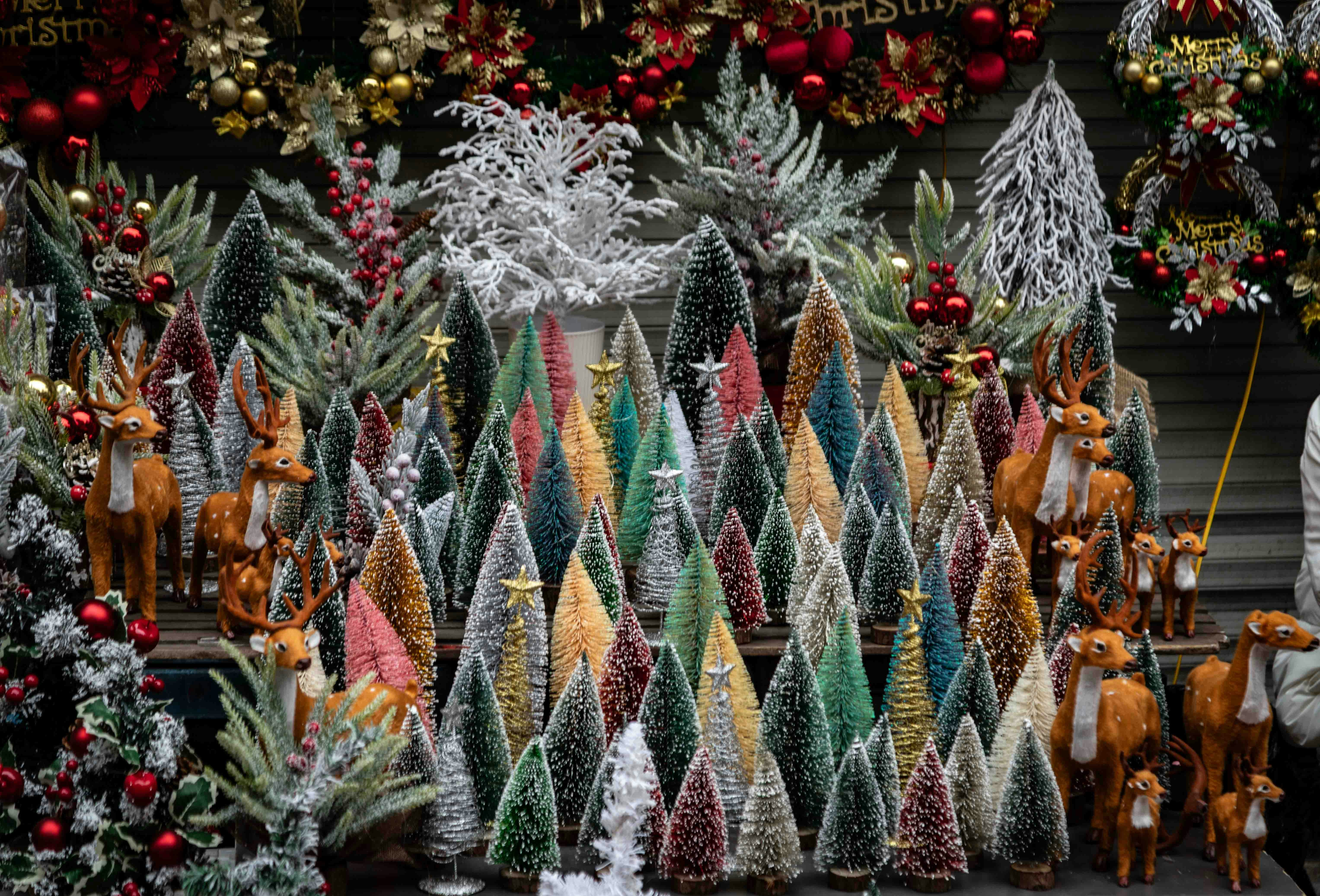Candy-coated Forest: A Row of Sparkling Mini Christmas Trees