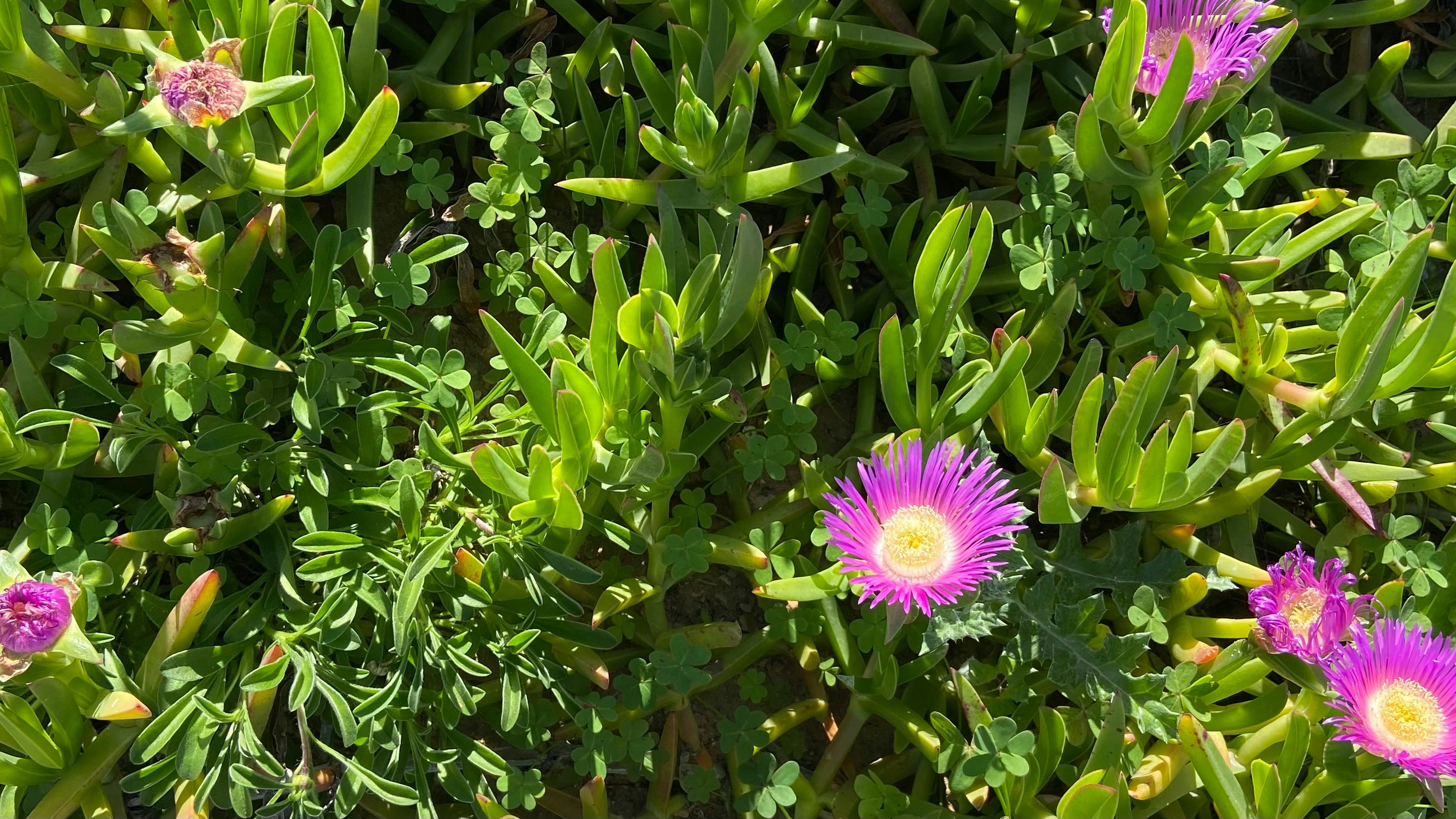 Photo by Adam Laribi with Apple iPhone 11