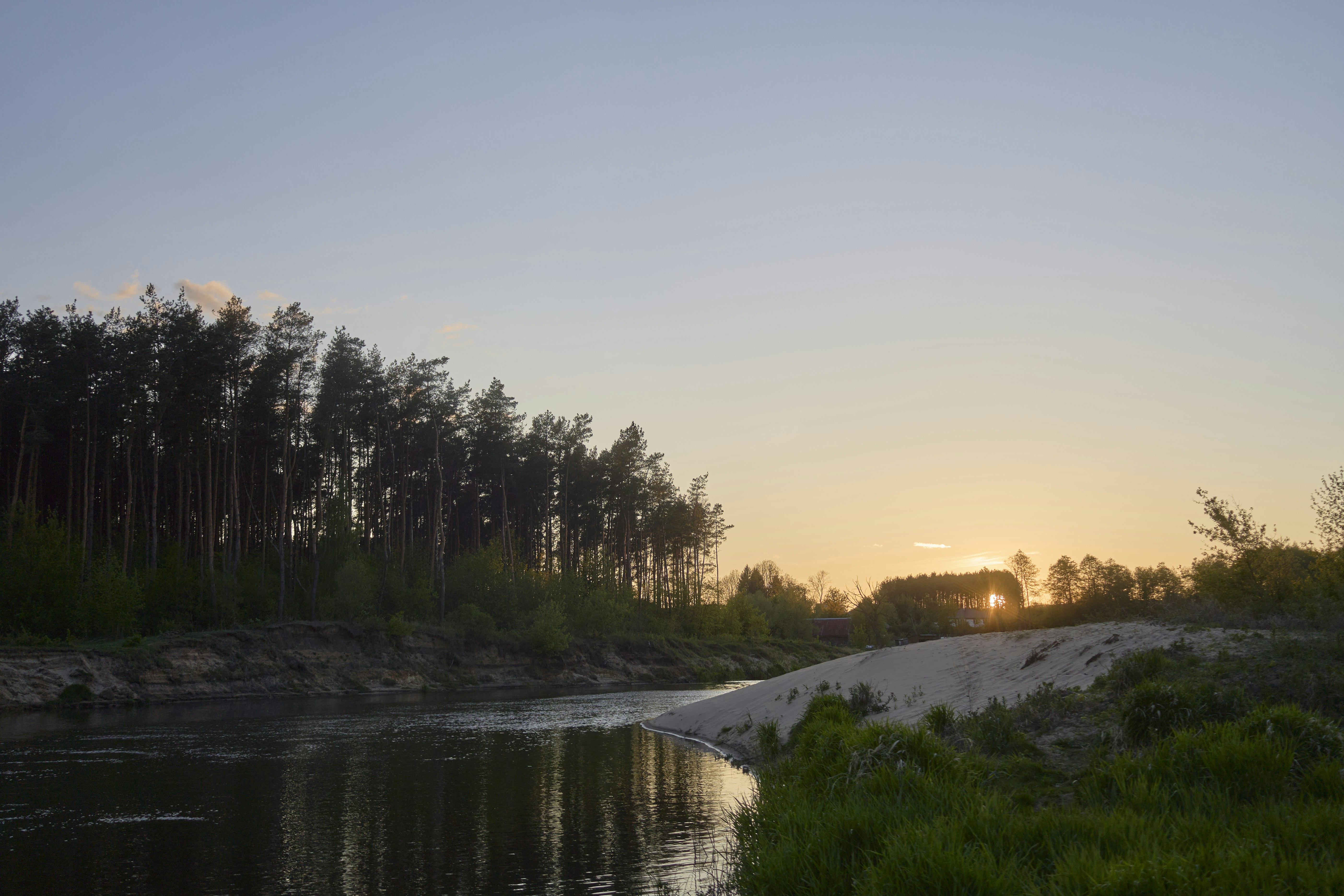 Sunlit riverbank at dusk with a distant tree line silhouette